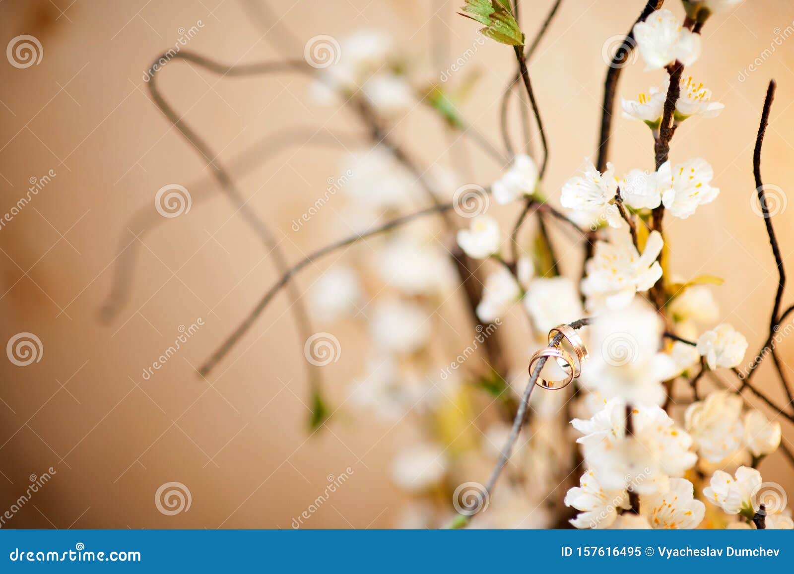Two Wedding Rings on a Decorative Tree Branch Stock Image - Image of ...