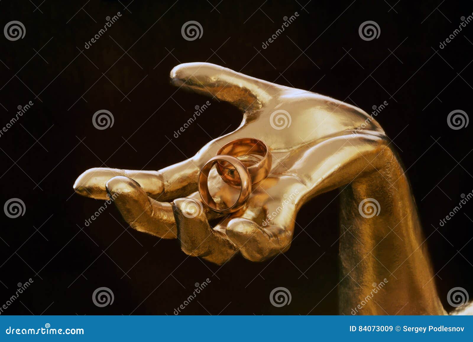 Two Wedding Rings in Gold Hand Stock Image - Image of black, beautiful ...