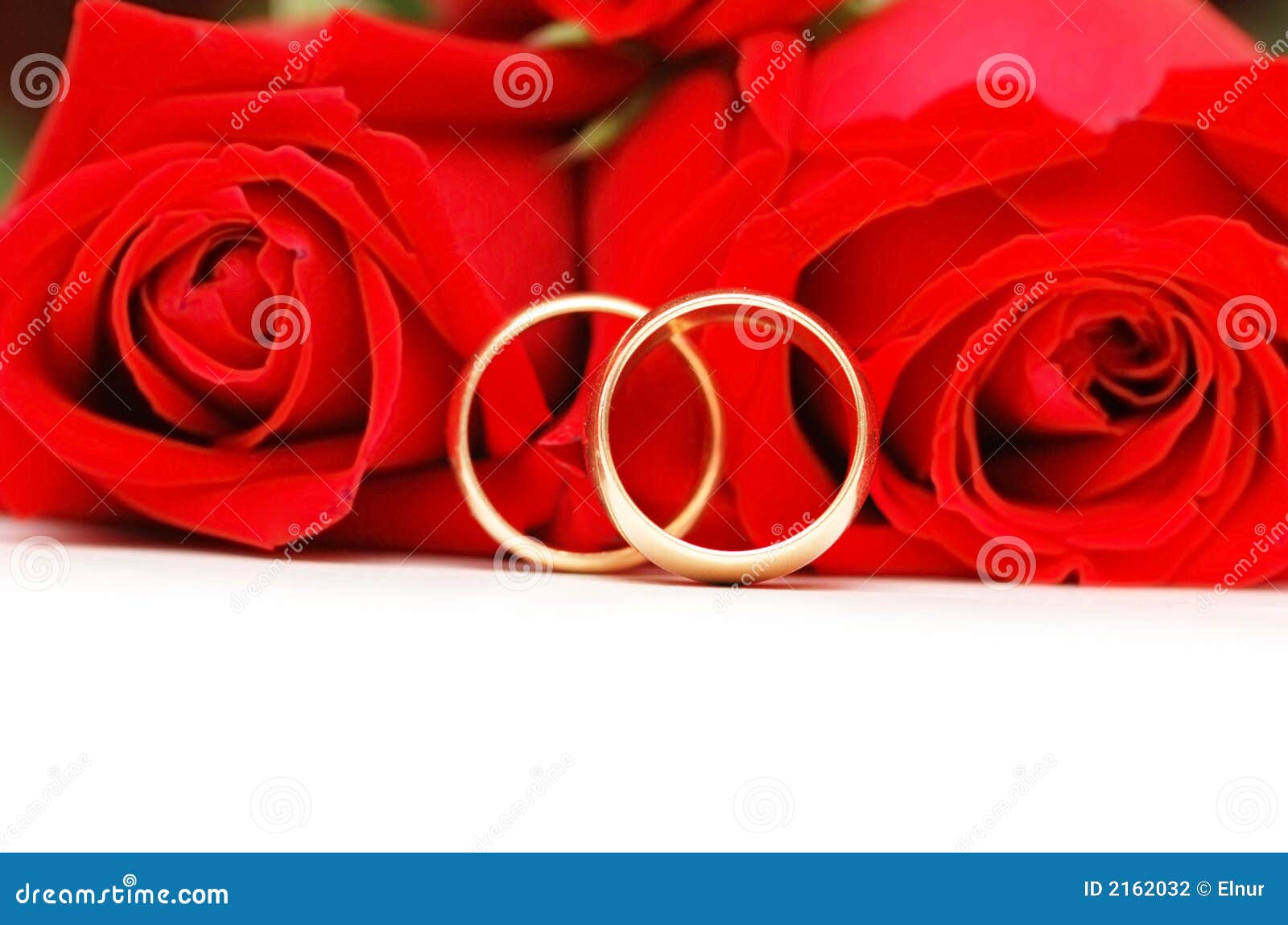 Two Wedding Rings and Red Rose Stock Photo - Image of romance, married ...