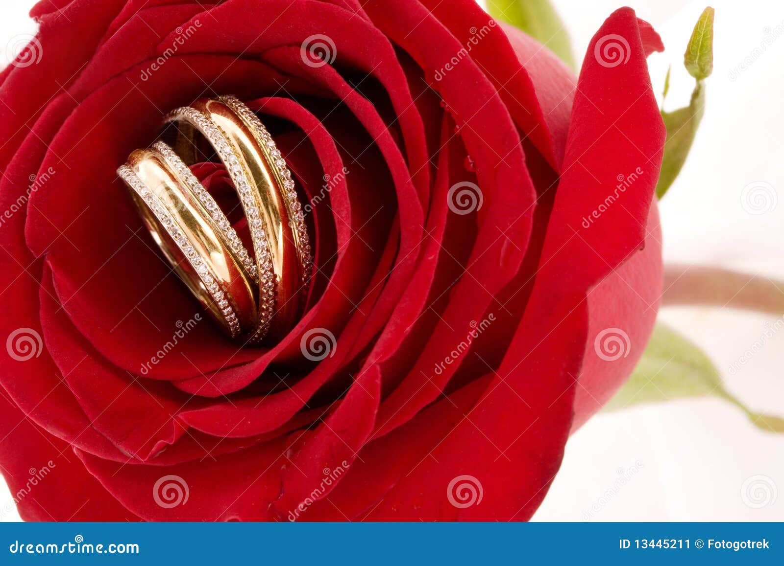 Two Wedding Rings and Red Roses Stock Image - Image of close, jewelry ...