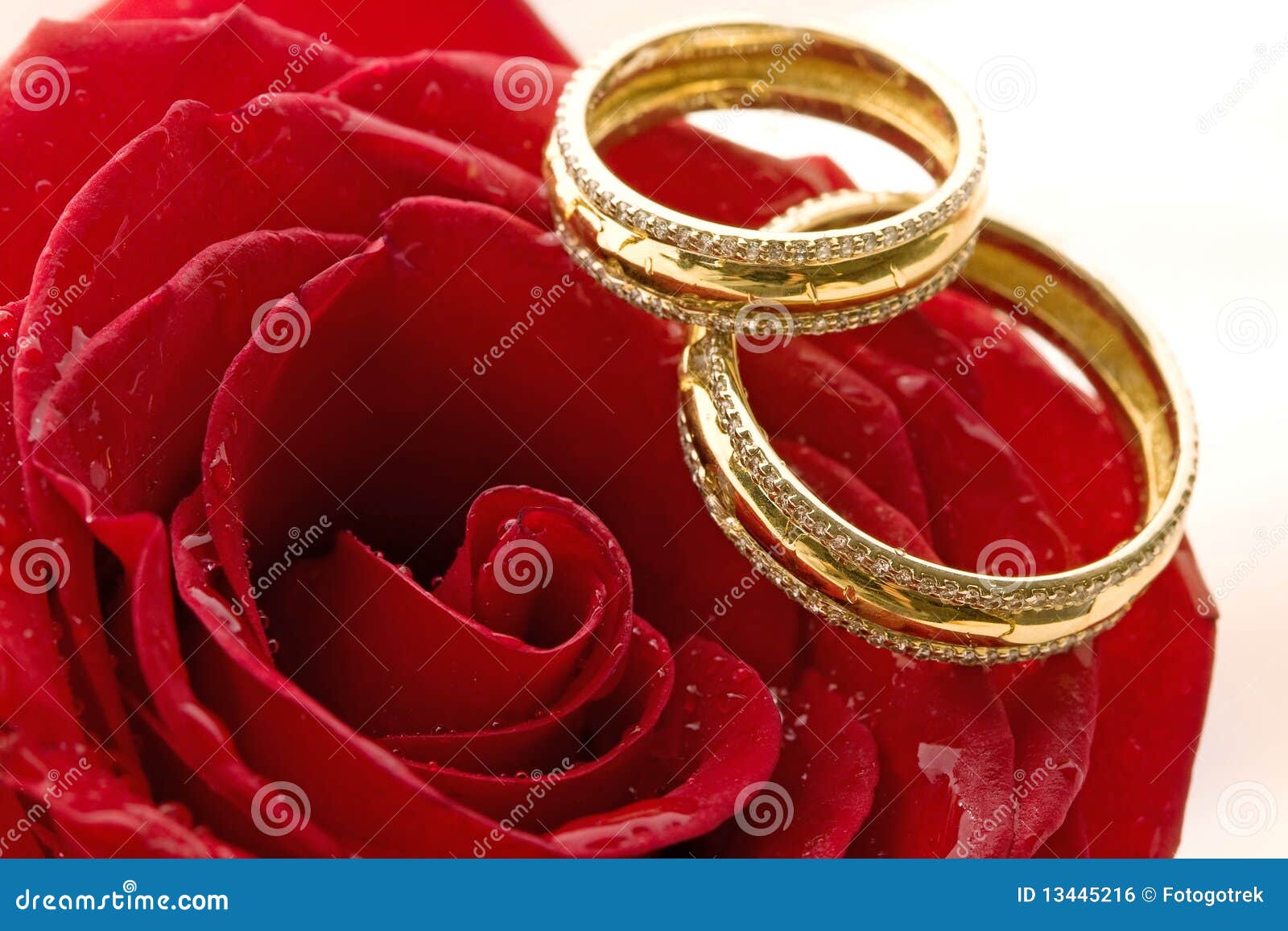 Two Wedding Rings and Red Roses Stock Photo - Image of romance, nature ...
