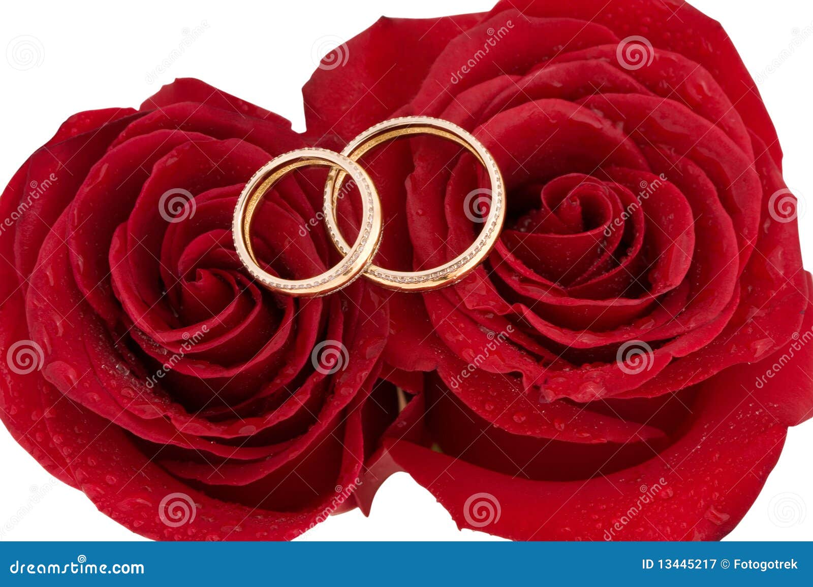 Two Wedding Rings and Red Roses Stock Image - Image of jewelry, symbol ...