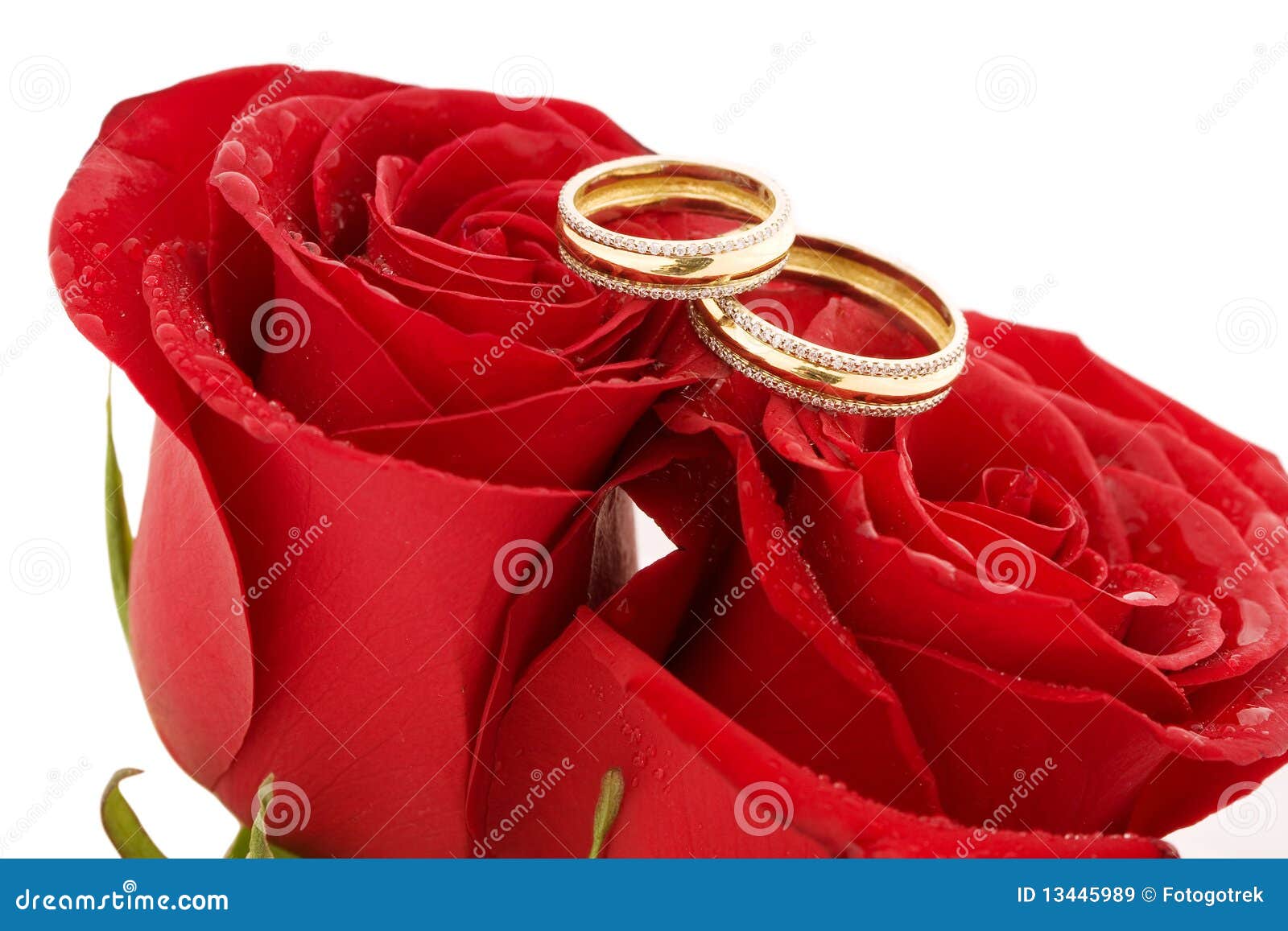 Two Wedding Rings and Red Roses Stock Image - Image of marry, symbol ...
