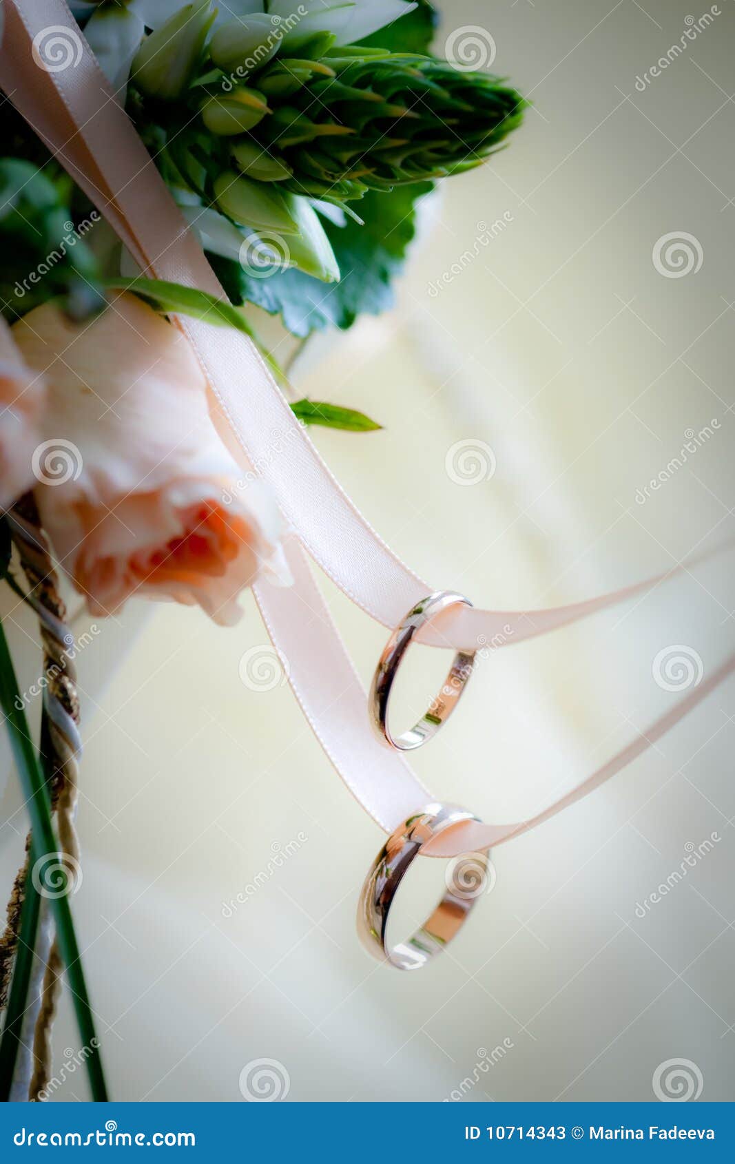 Two Wedding Rings on a Ribbon Stock Image - Image of celebration ...