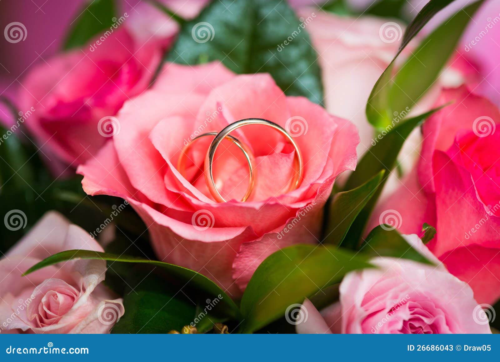 Two Wedding Rings on Rose in Bridal Bouquet Stock Image - Image of ...