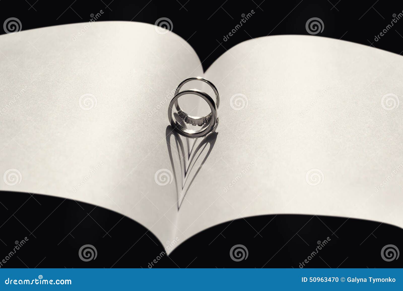 Two Wedding Rings on a White Background with Shadow in the Form of ...