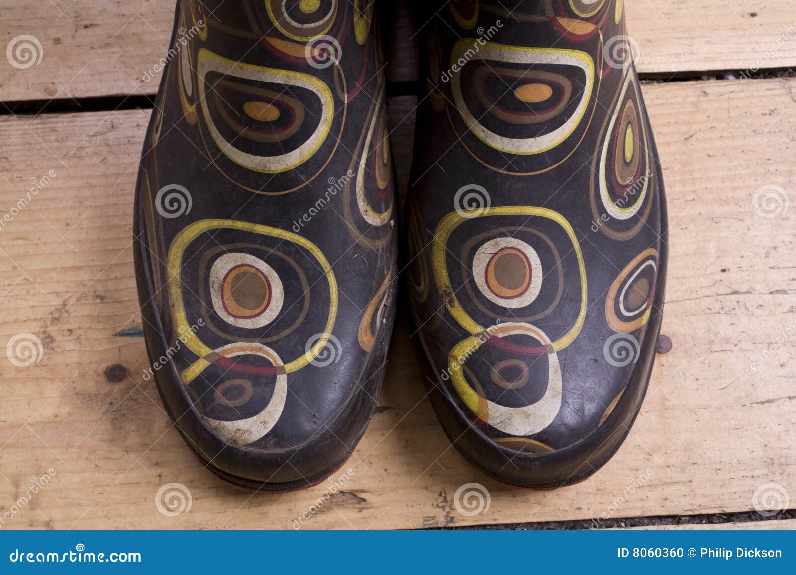 Two Wellies stock photo. Image of gumboots, hiking, pair - 8060360