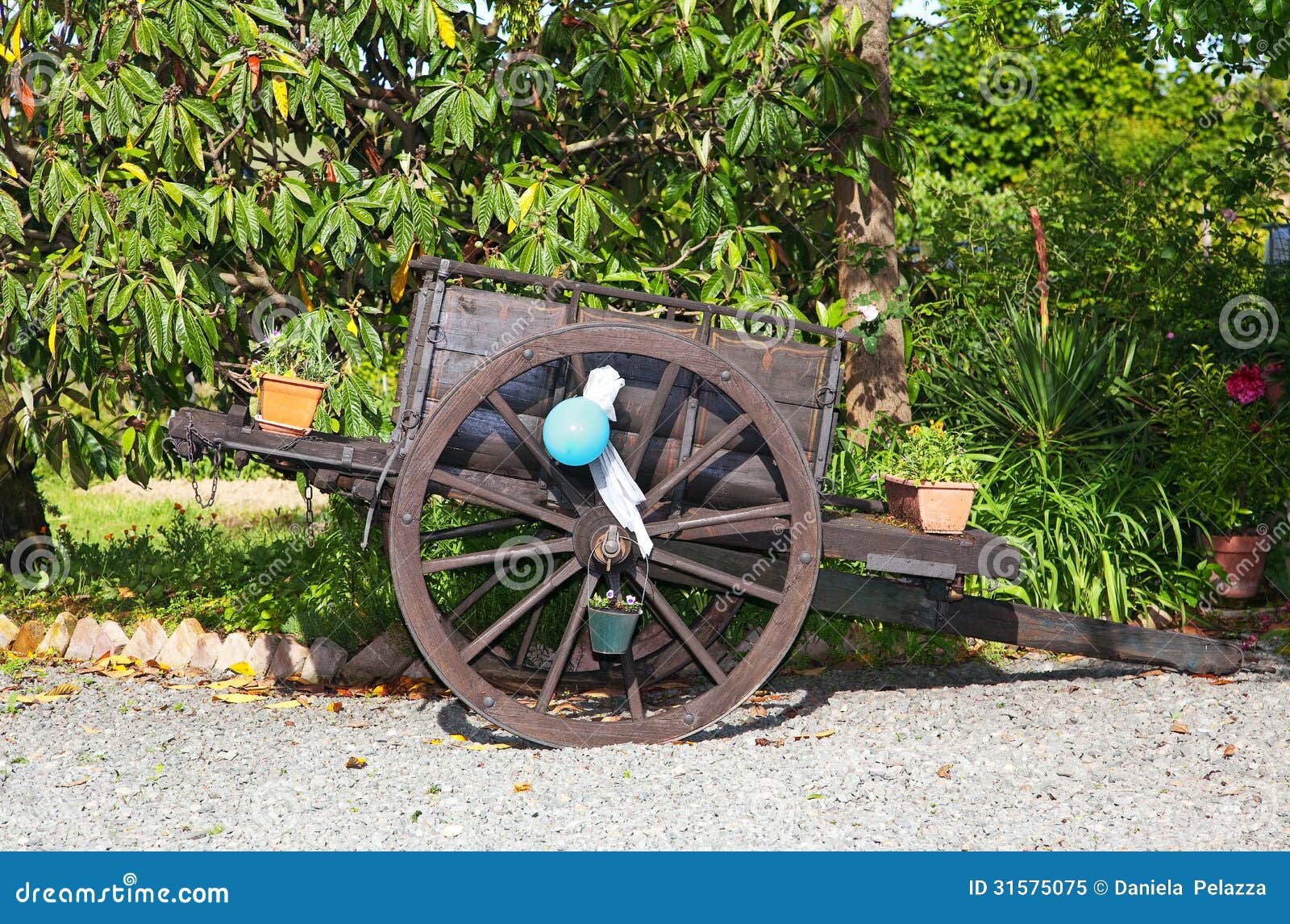 Two wheeled cart stock image. Image of agriculture, brown - 31575075