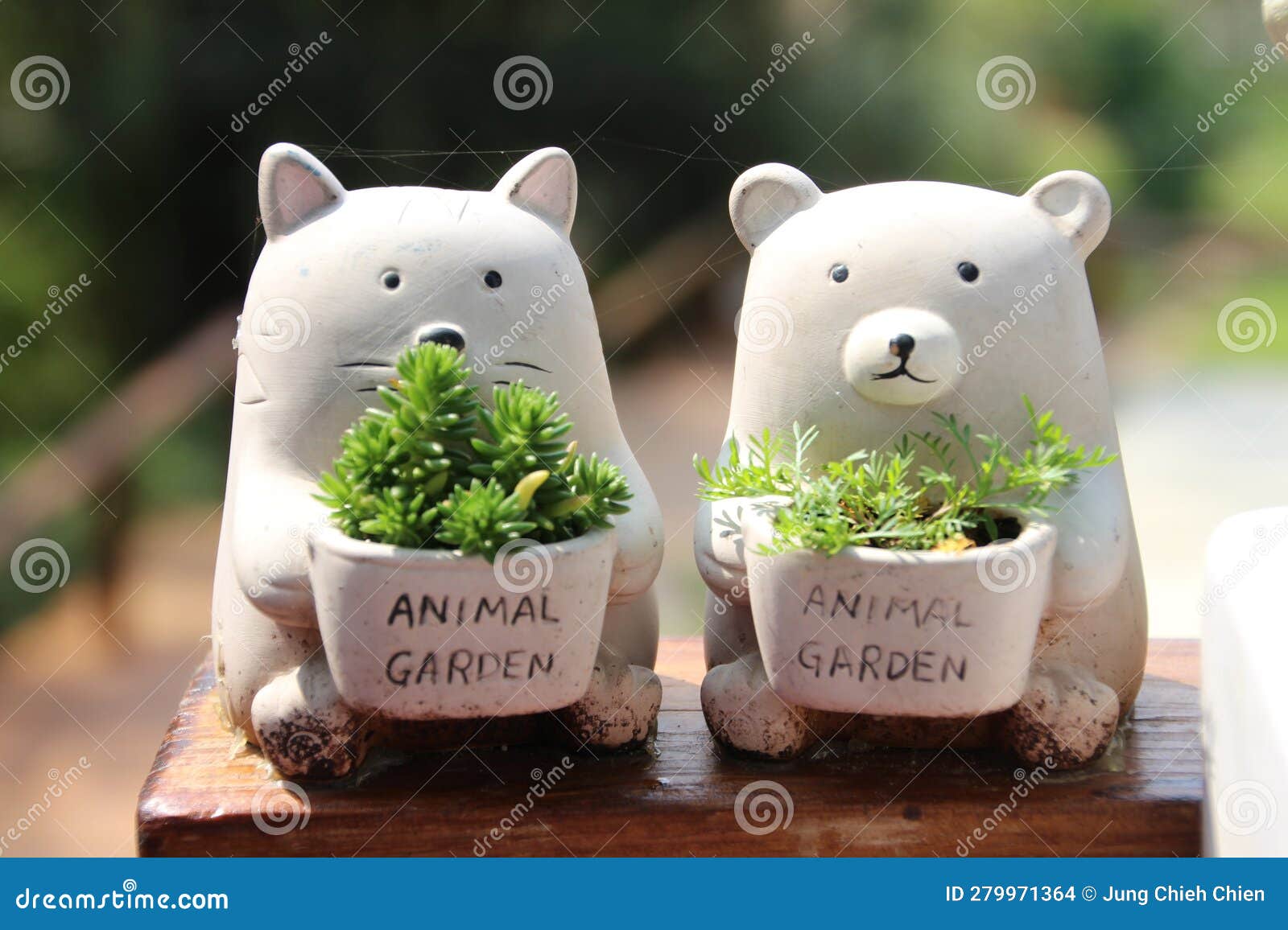 Two white bears stock photo. Image of plant, bears, green - 279971364