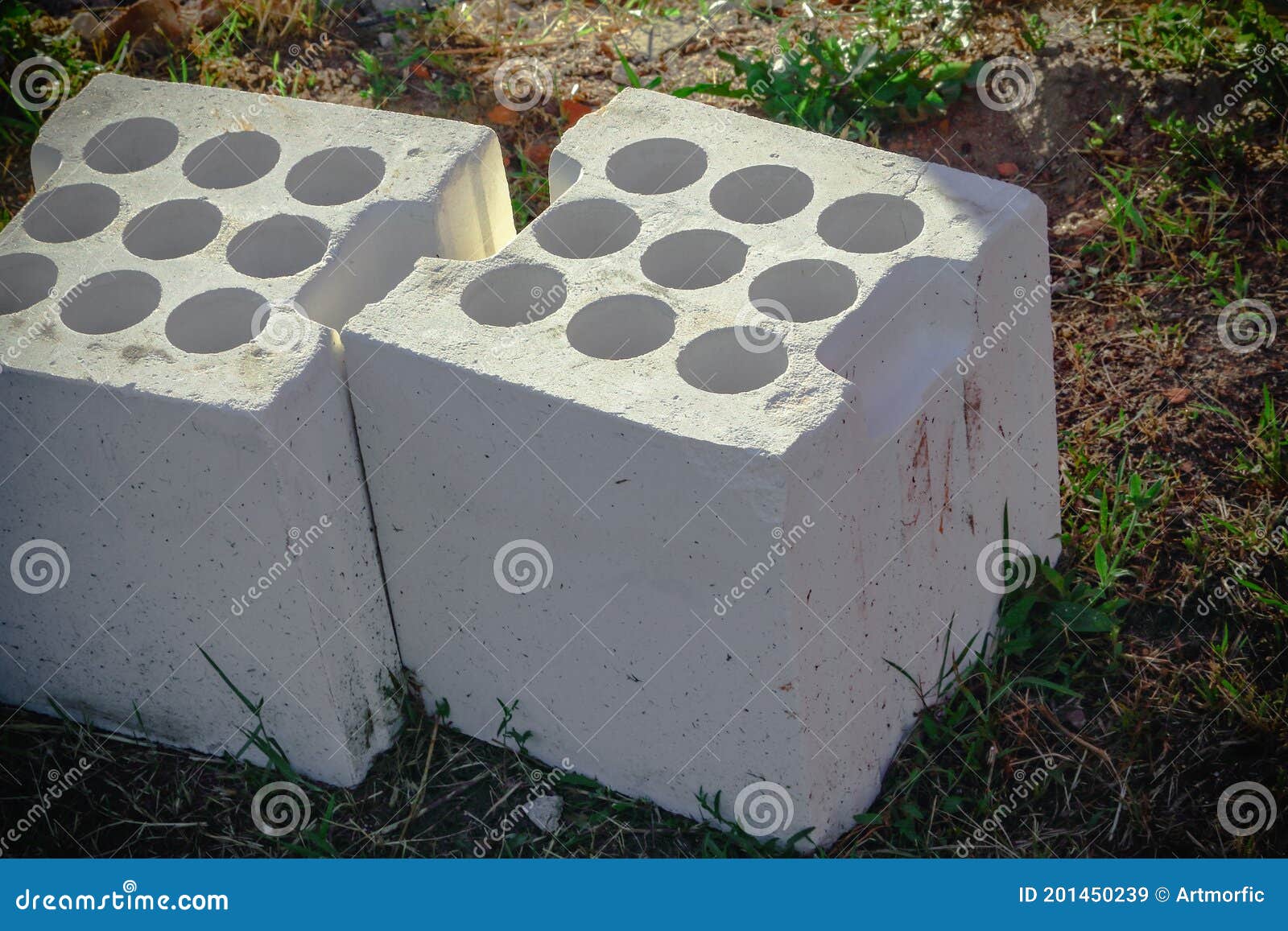 Two White Big Bricks with Round Holes Lying on Ground in Forest on Tiny ...