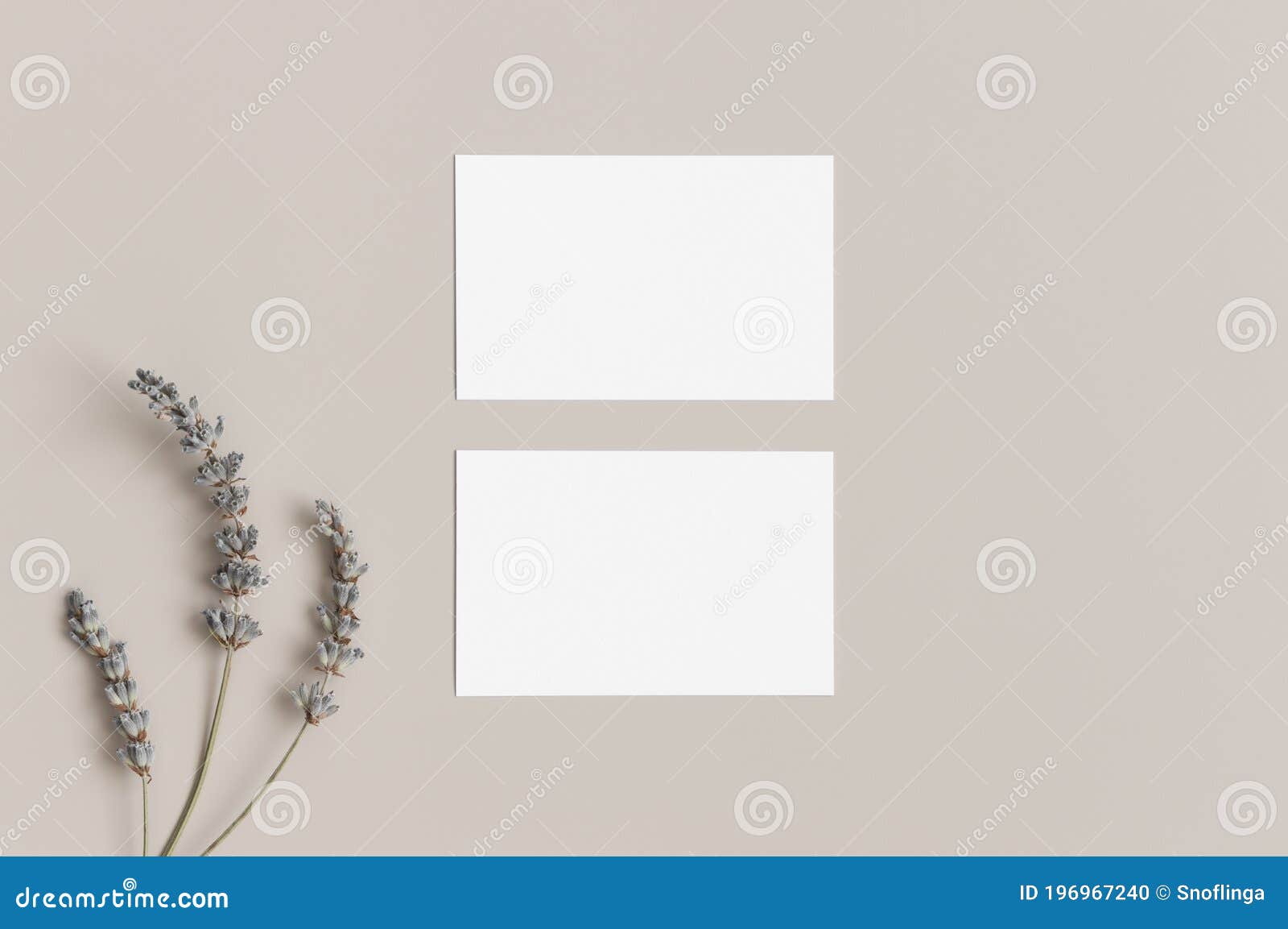 Two White Business Cards Mockup 85x55mm with Lavender Stock Photo ...