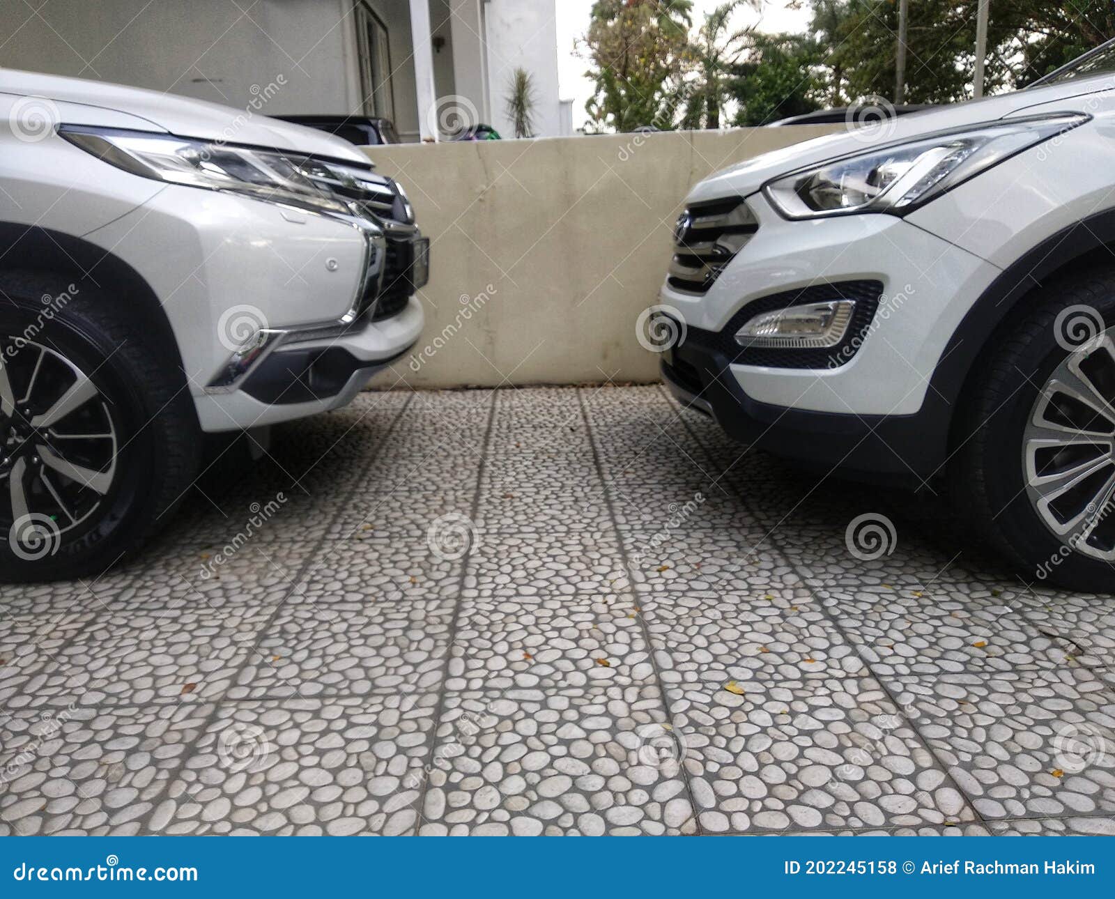 Two White Cars, Facing Each Other Stock Photo - Image of cara, white ...