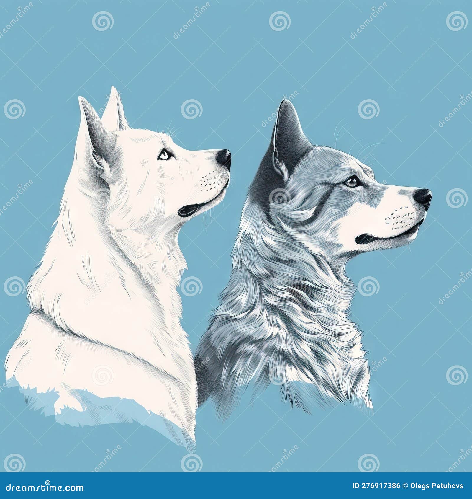Two White Dogs are Facing Each Other on a Blue Background Stock Photo ...