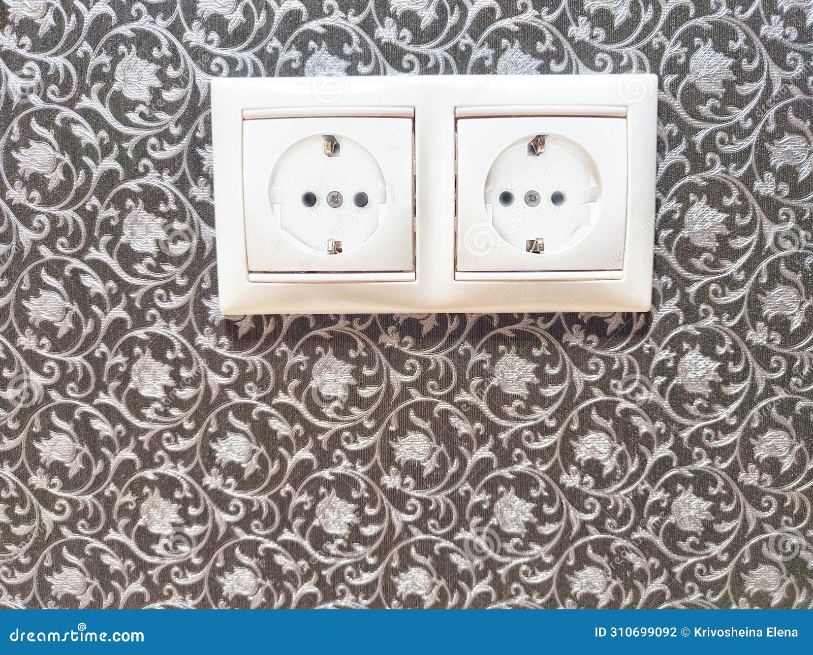 Two White European Power Outlets Mounted on Ornate Wall. European Dual ...