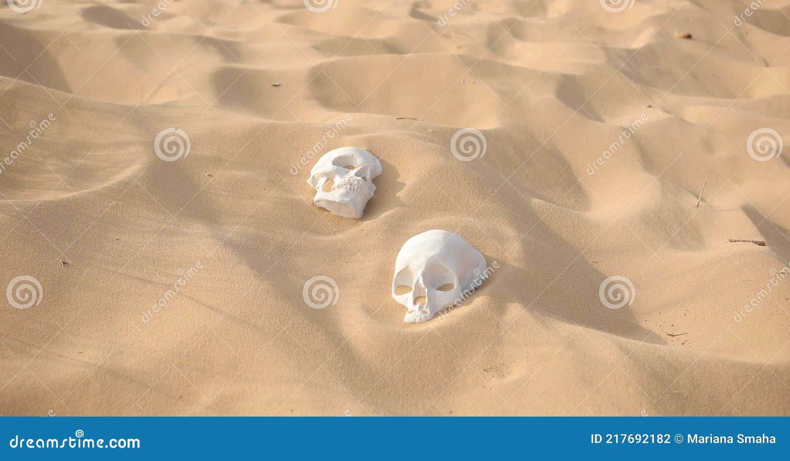 Two White Humans Skulls in Desert Stock Footage - Video of person ...