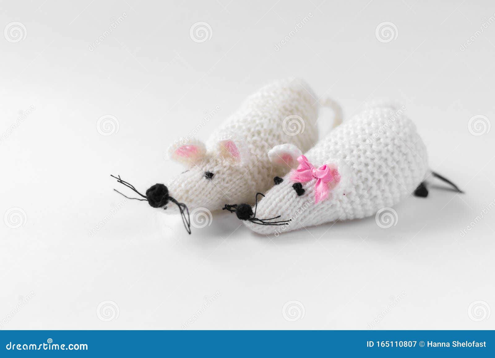 Two White Mice on a White Background Stock Image - Image of beautiful ...