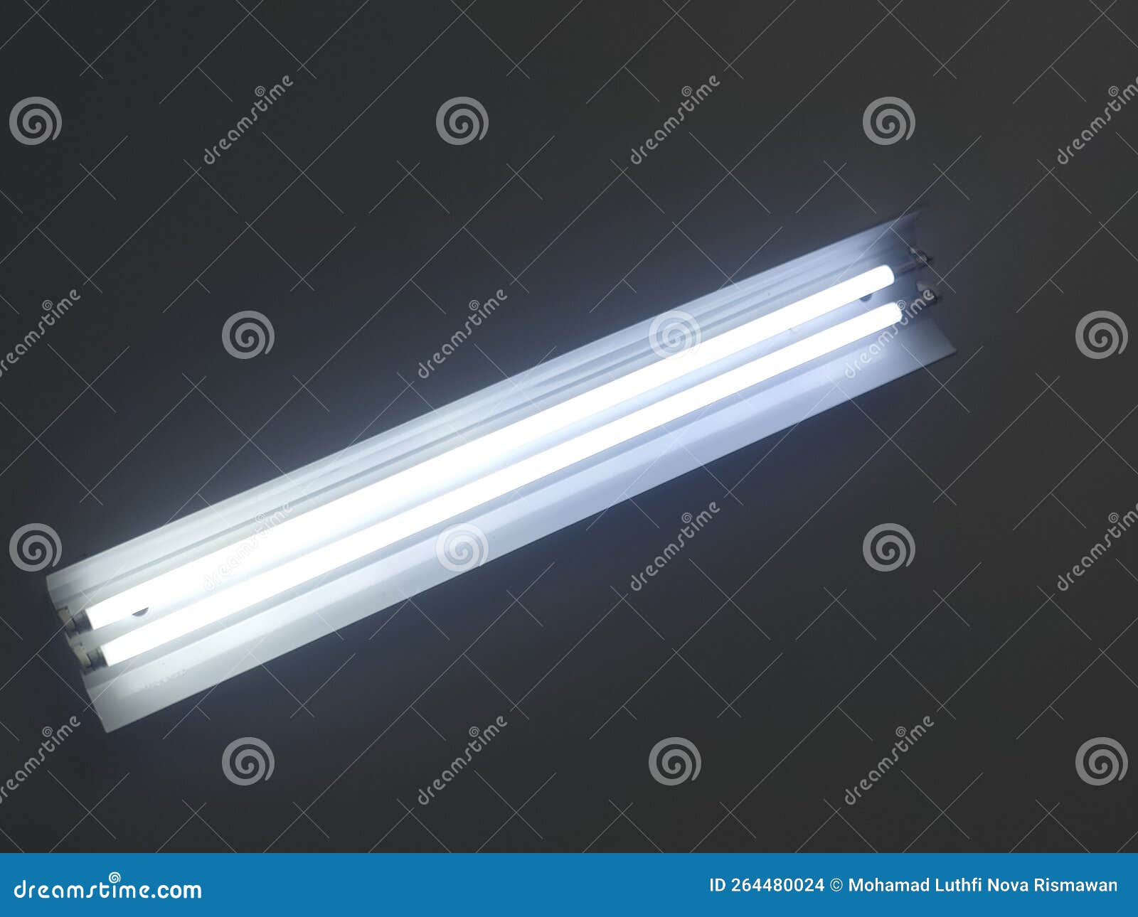 Neon bulbs stock photo. Image of bulbs, turned, white - 264480024