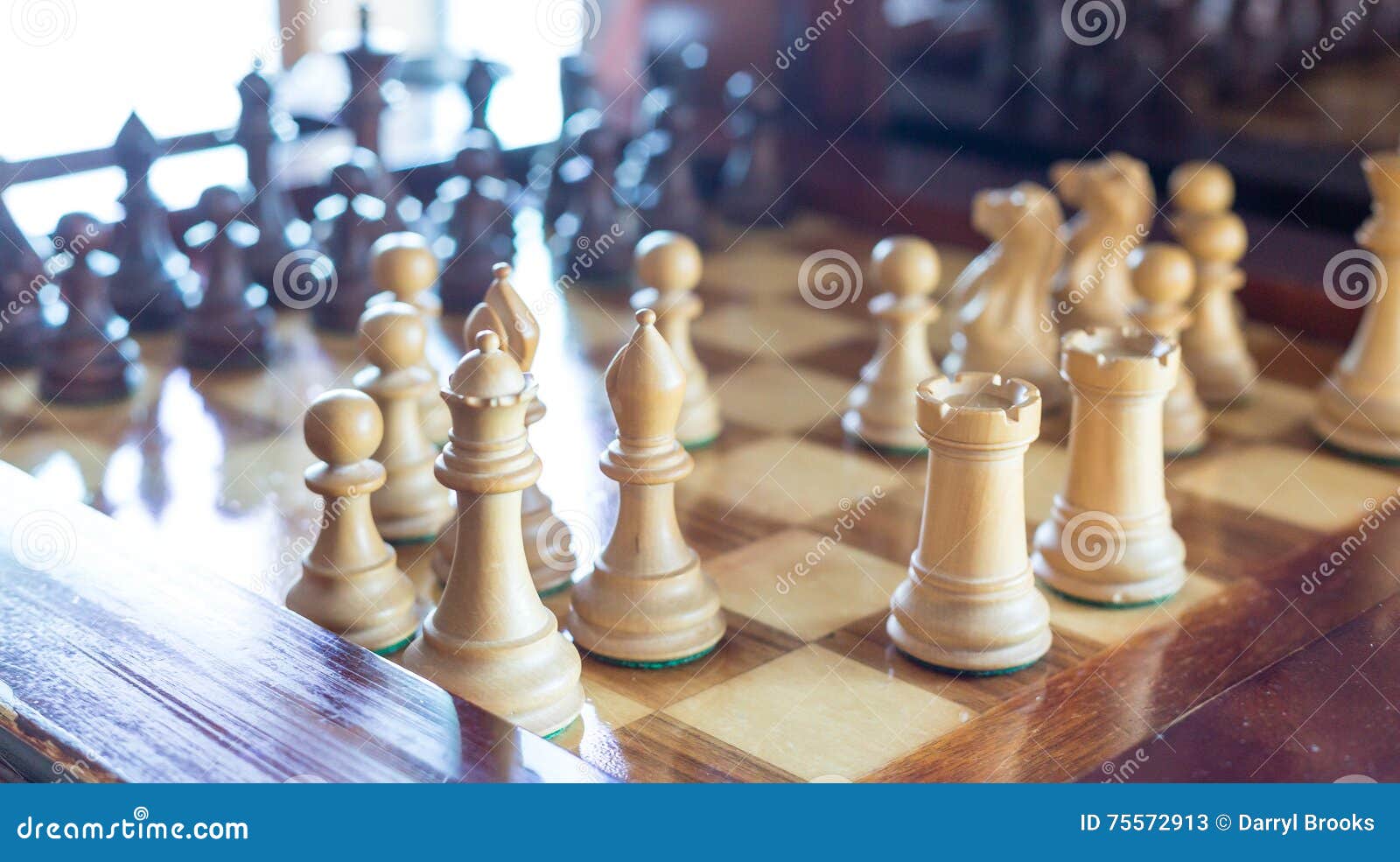 Two White Rooks stock image. Image of board, rook, black - 75572913