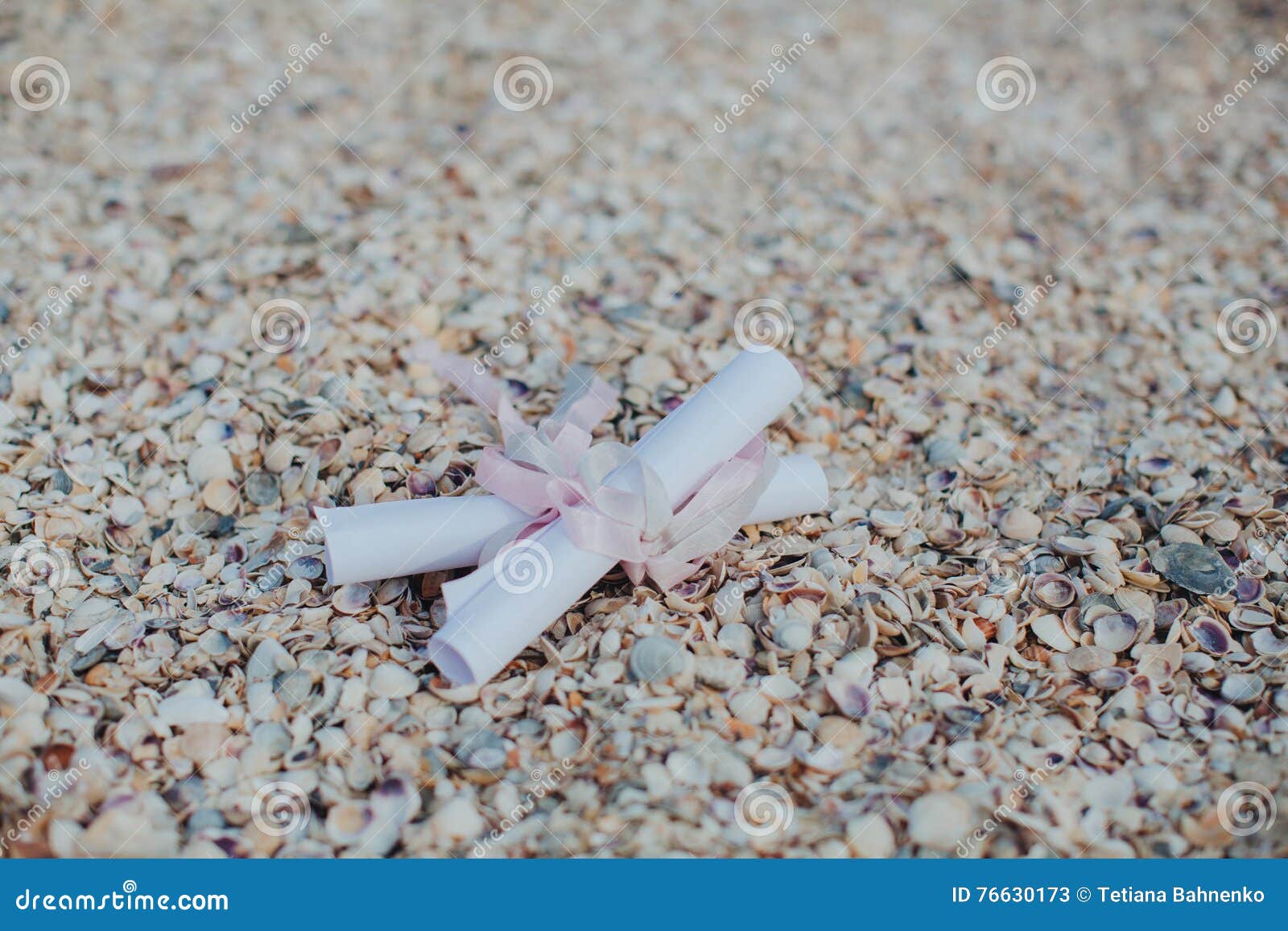 White Scroll Algae Padina Jamaicensis Stock Image | CartoonDealer.com ...