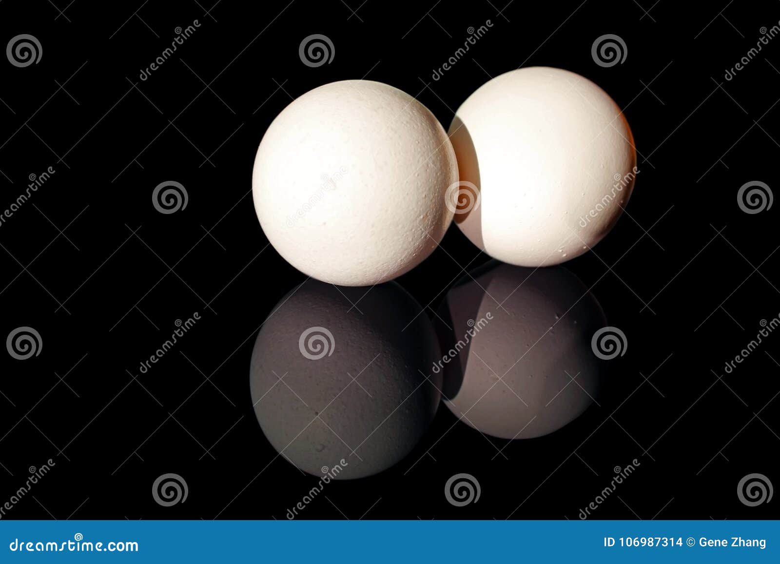 Two White Shell Eggs Isolated on Black Background Stock Photo - Image ...