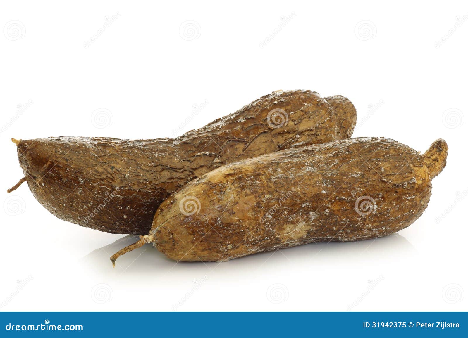 One Whole Cassava Royalty-Free Stock Photography | CartoonDealer.com ...