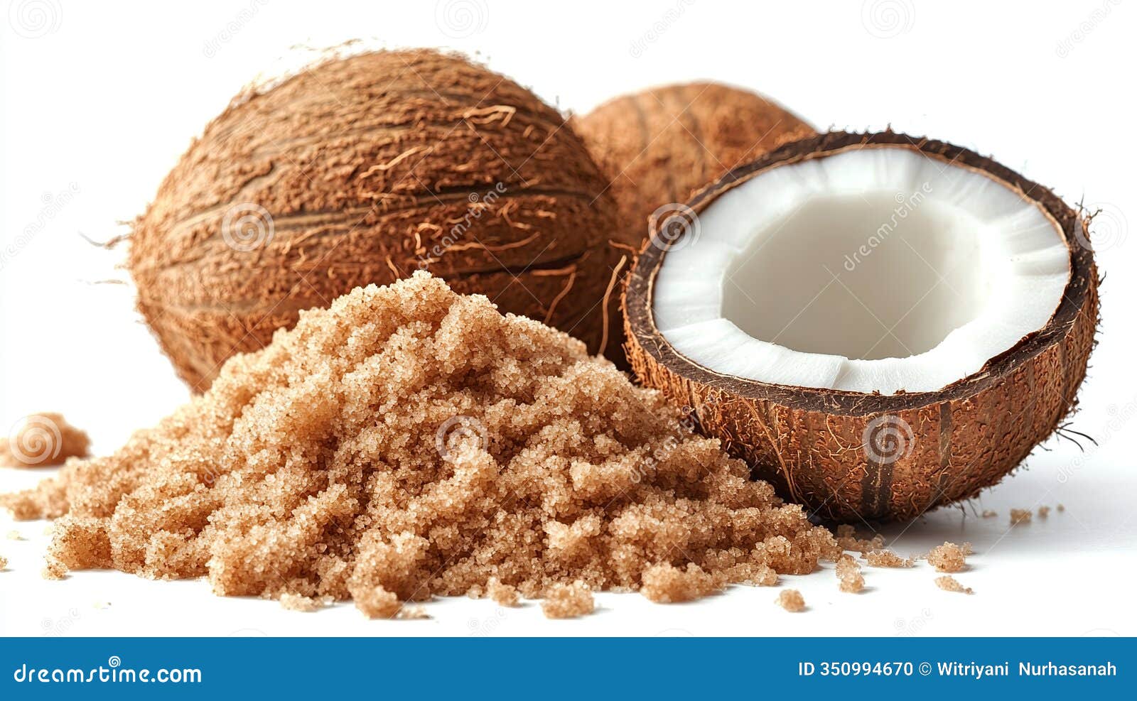 Desiccated Cartoons, Illustrations & Vector Stock Images - 827 Pictures ...