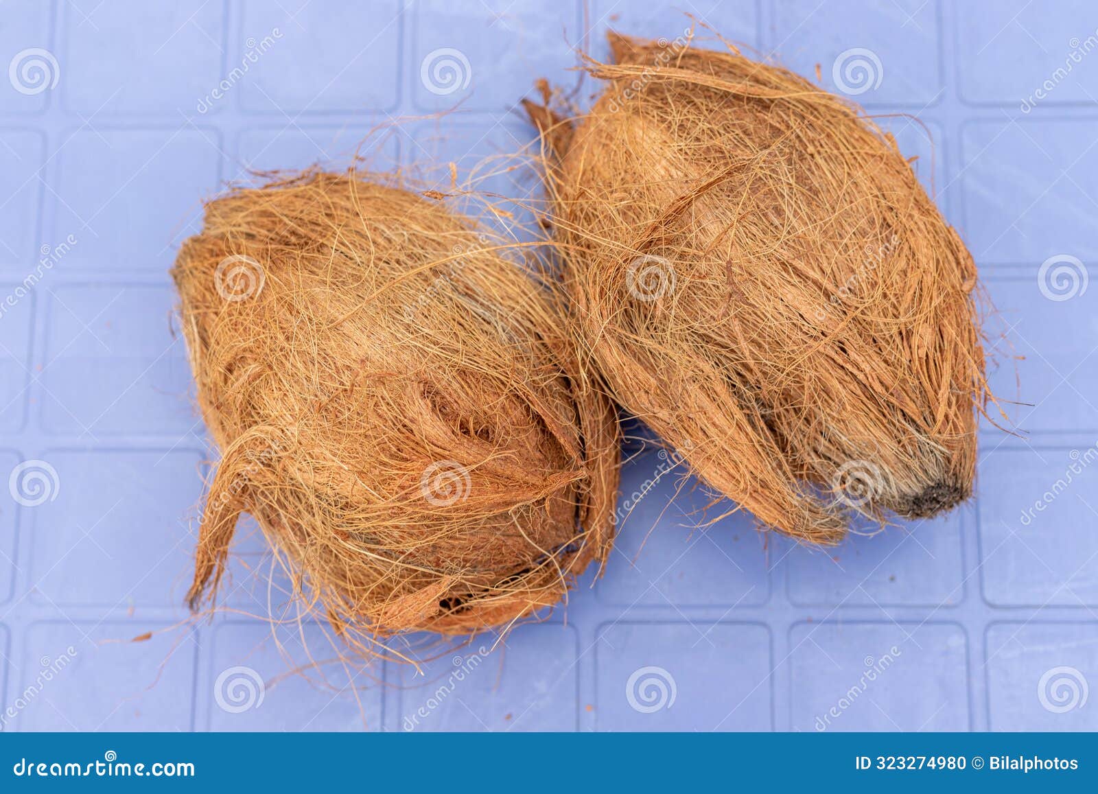 Two Whole Coconuts with Shell. Top View Stock Photo - Image of ...