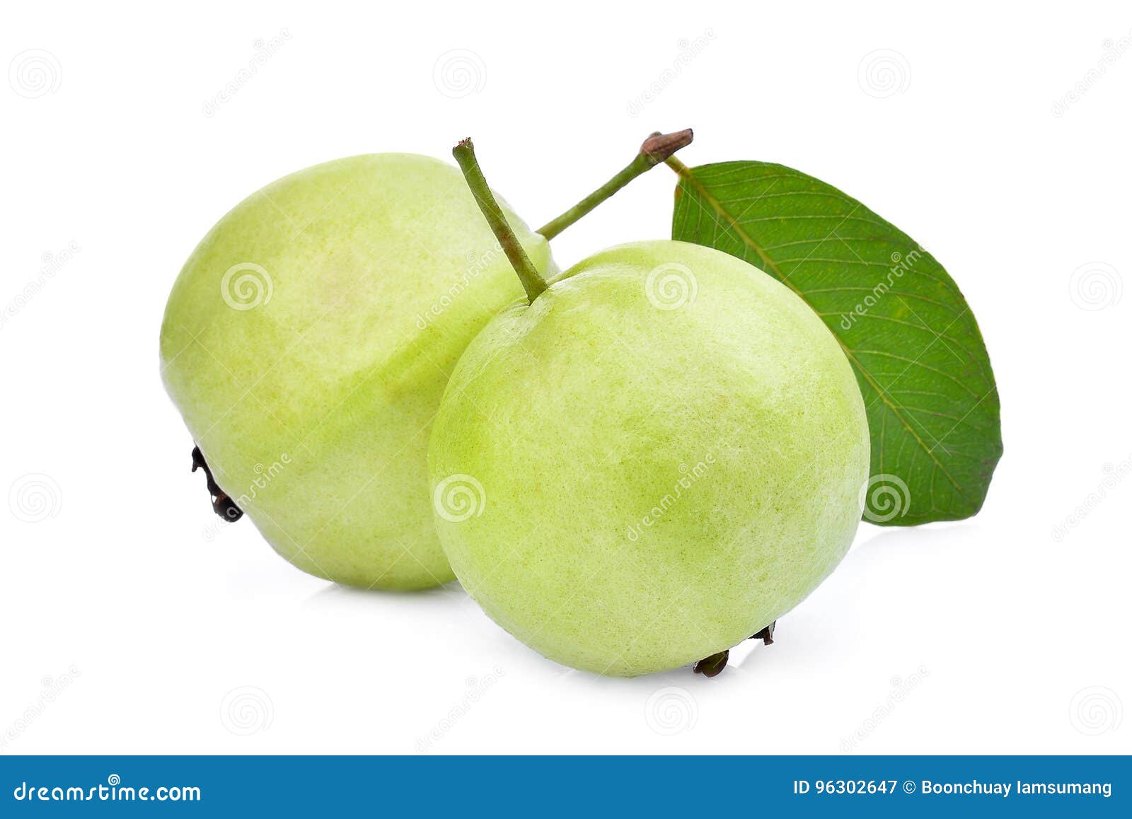 Two Whole Guava Fruit with Green Leaf on White Stock Image - Image of ...