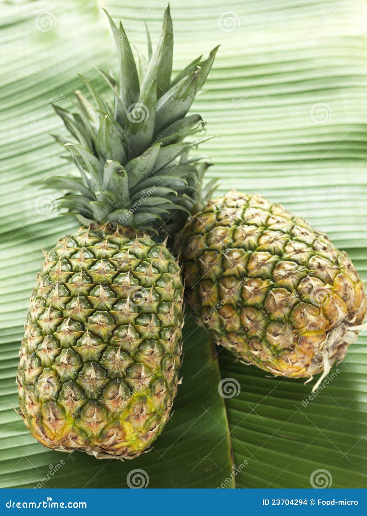 Two whole pineapples stock photo. Image of fruit, green - 23704294