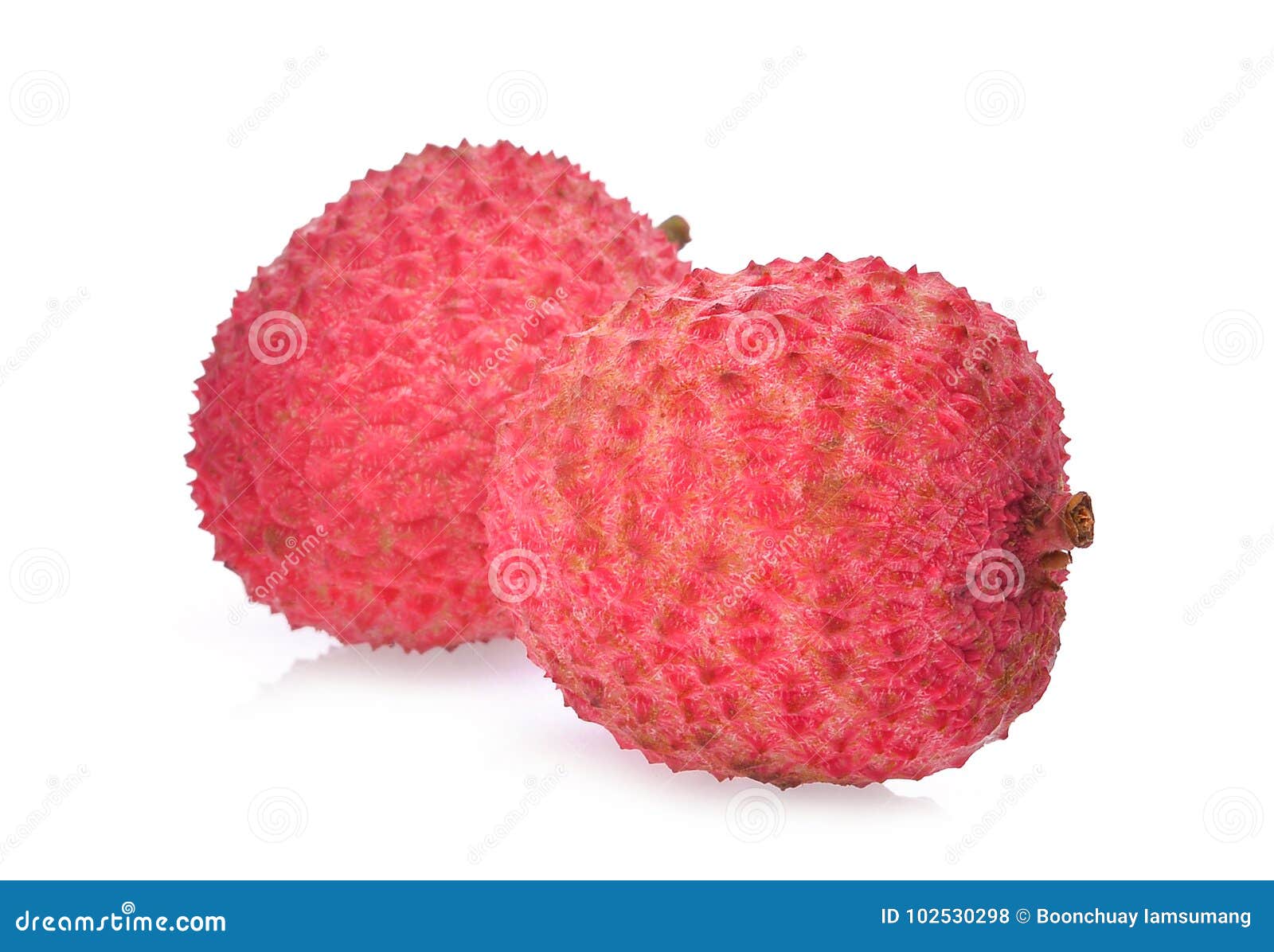 Two Whole Red Lychee Isolated On White Stock Photo - Image of four ...