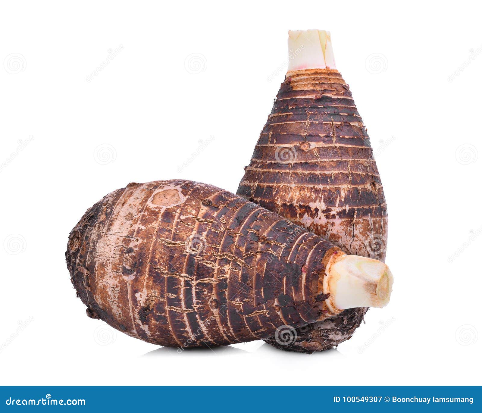 Two Whole Taro Isolated on White Stock Image - Image of group, purple ...