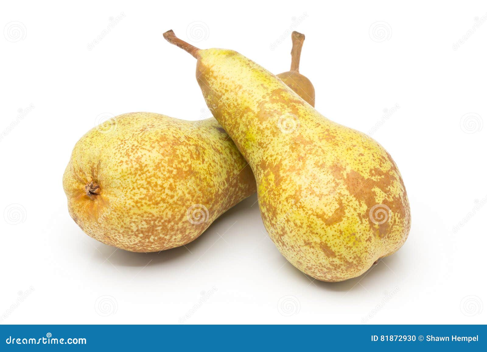 Two Whole, Uncut `abate Fetel` Pears Stock Photo - Image of dessert ...