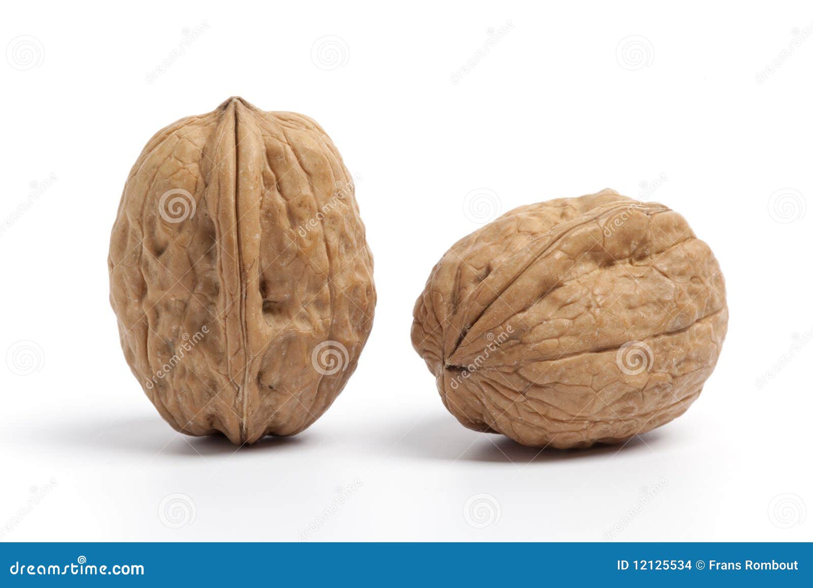 Whole Walnut