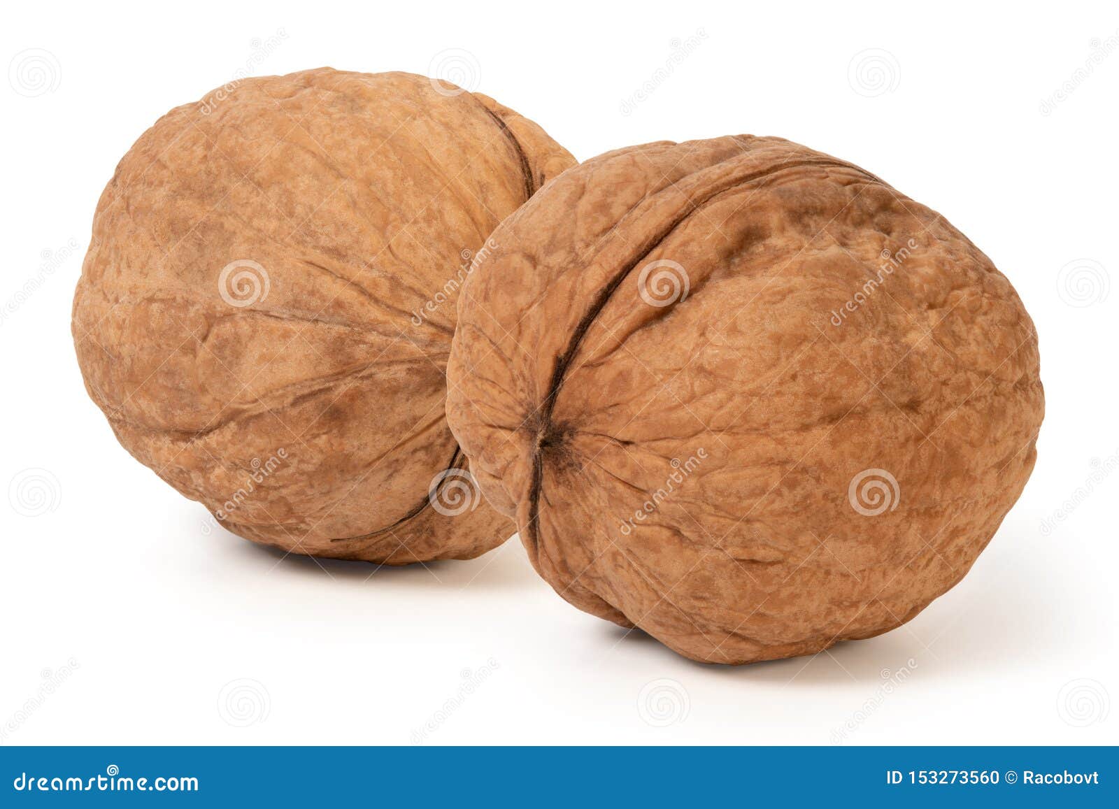 Two Walnuts Stock Photos - Download 1,995 Royalty Free Photos
