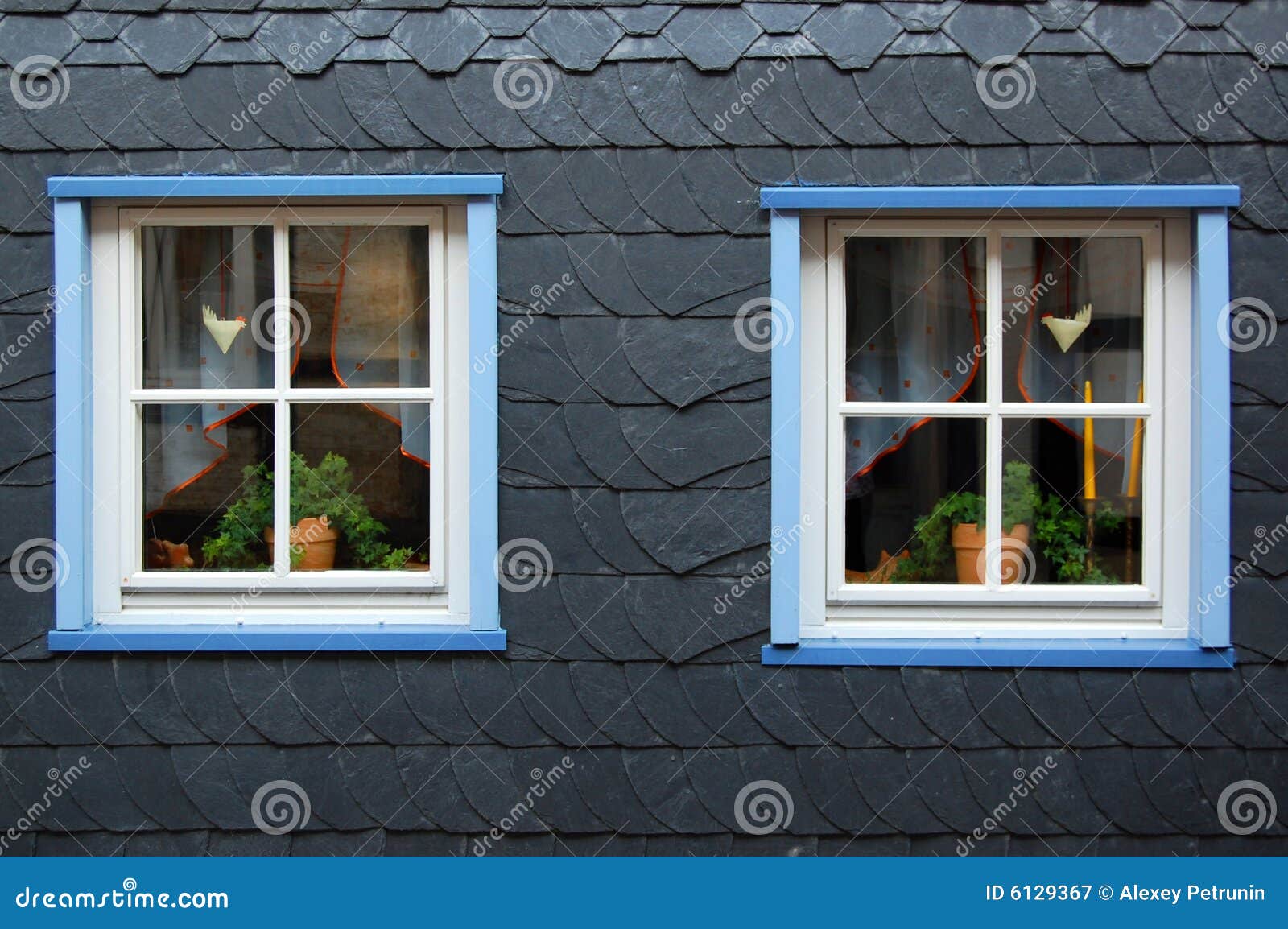 Two windows stock image. Image of flower, home, black - 6129367
