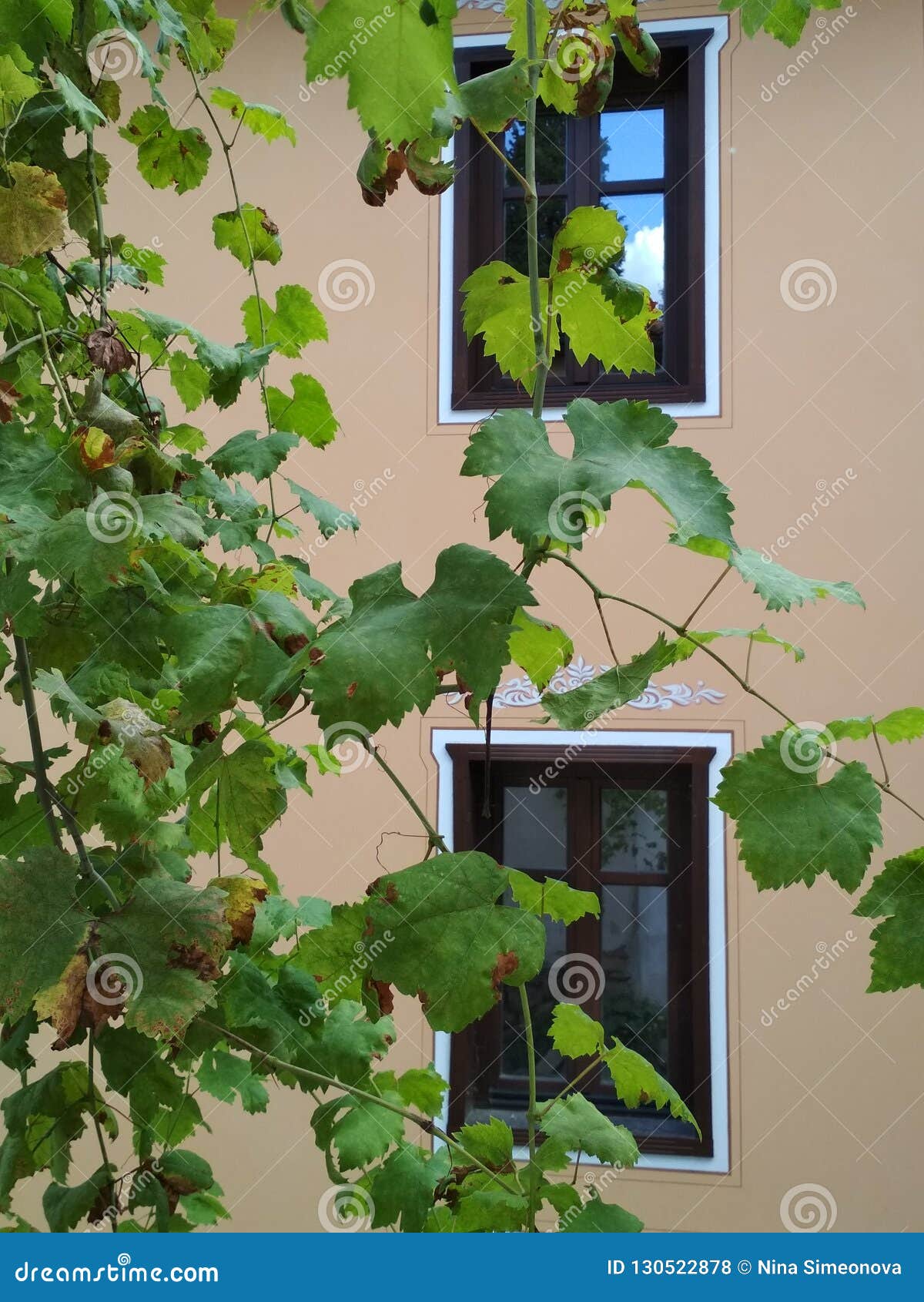 Two windows stock photo. Image of detail, windows, home - 130522878