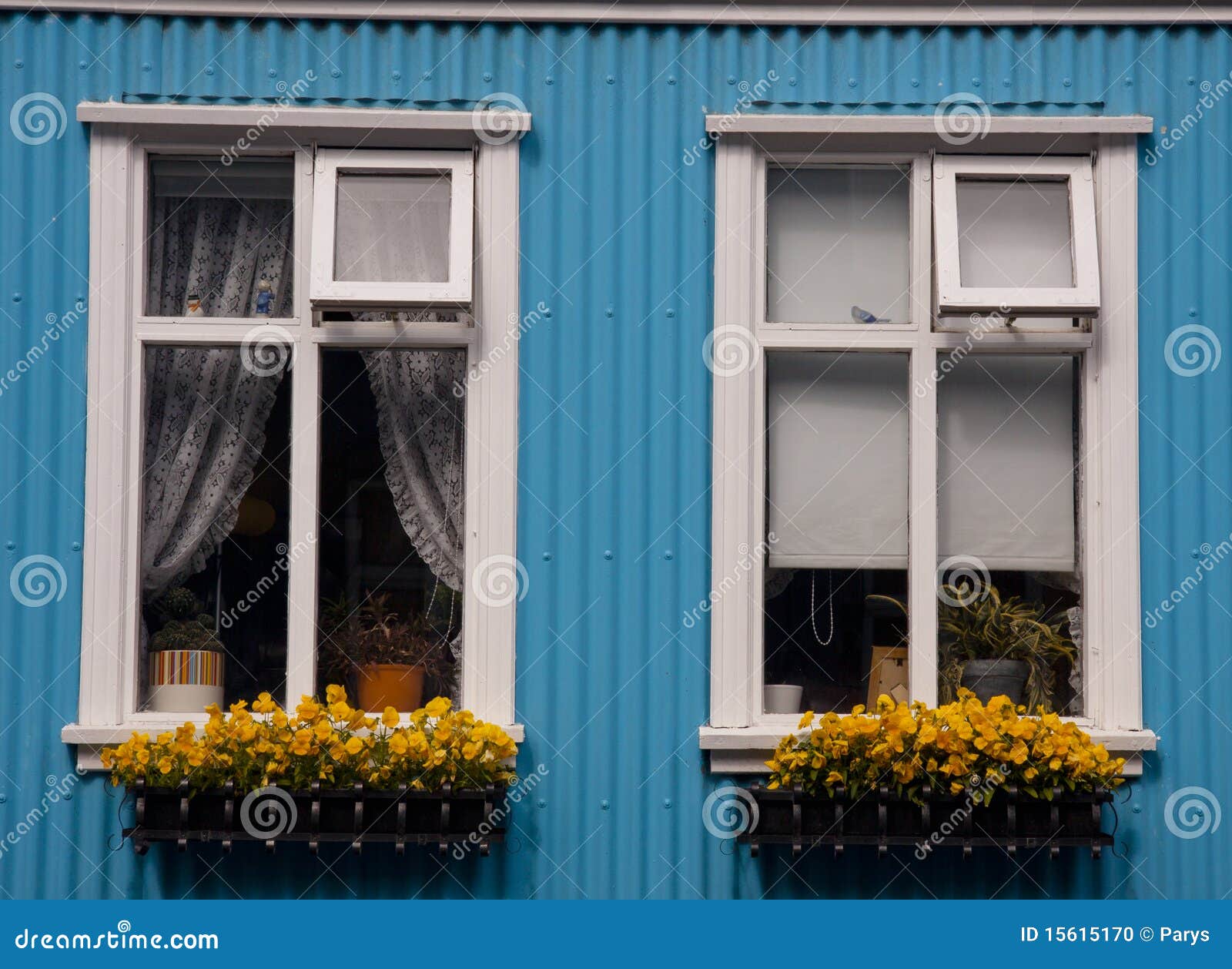 Two Windows in Reykjavik - Iceland Stock Photo - Image of icelandic ...