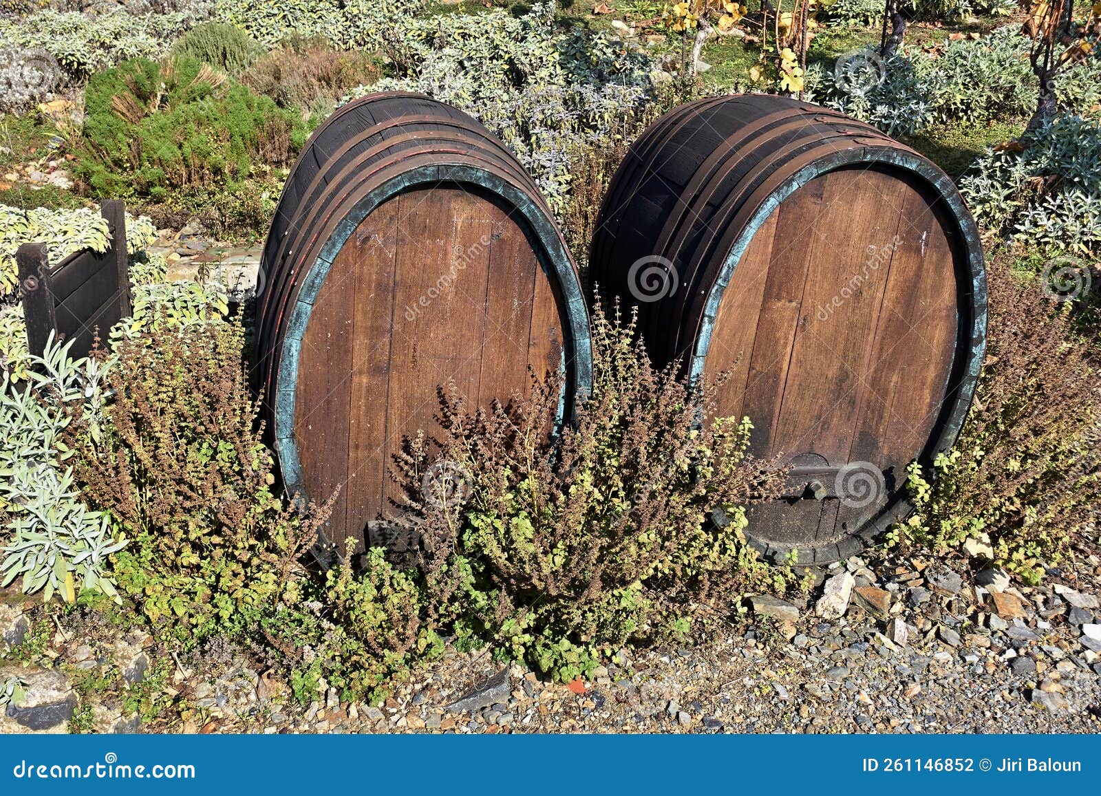 Two wine barrels stock photo. Image of stone, barrel - 261146852