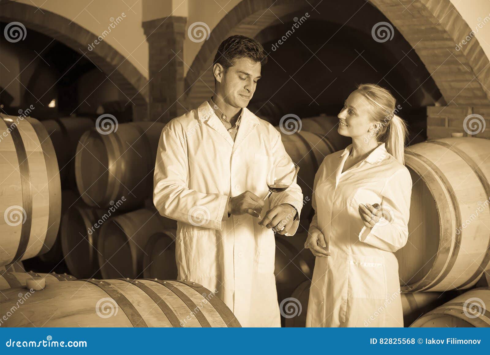Two Wine House Workers Checking Quality of Product Stock Photo - Image ...