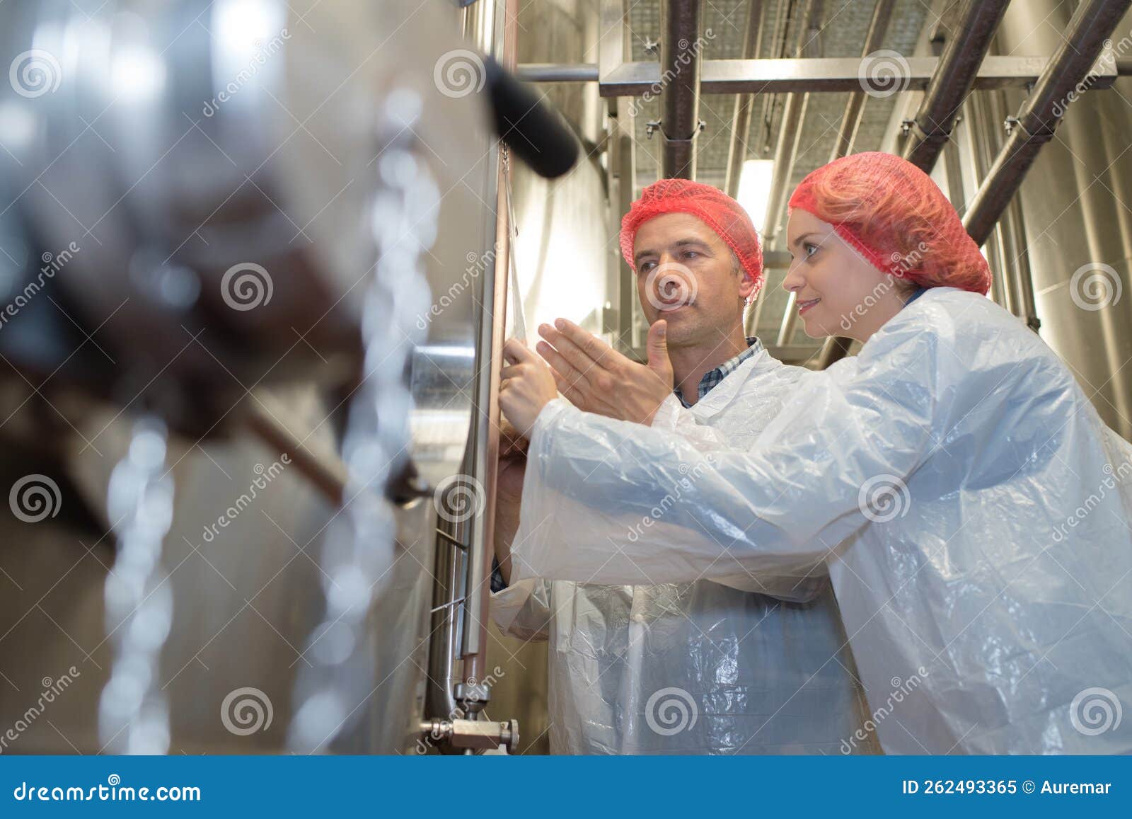 Two Winery Workers in Uniform Looking at Wine Vat Stock Image - Image ...