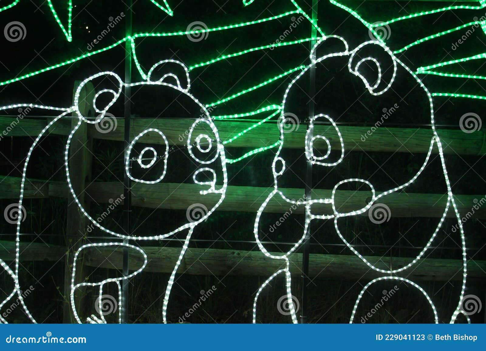 Two Wire-framed Led Baby Pandas Stock Image - Image of lighting, circle ...