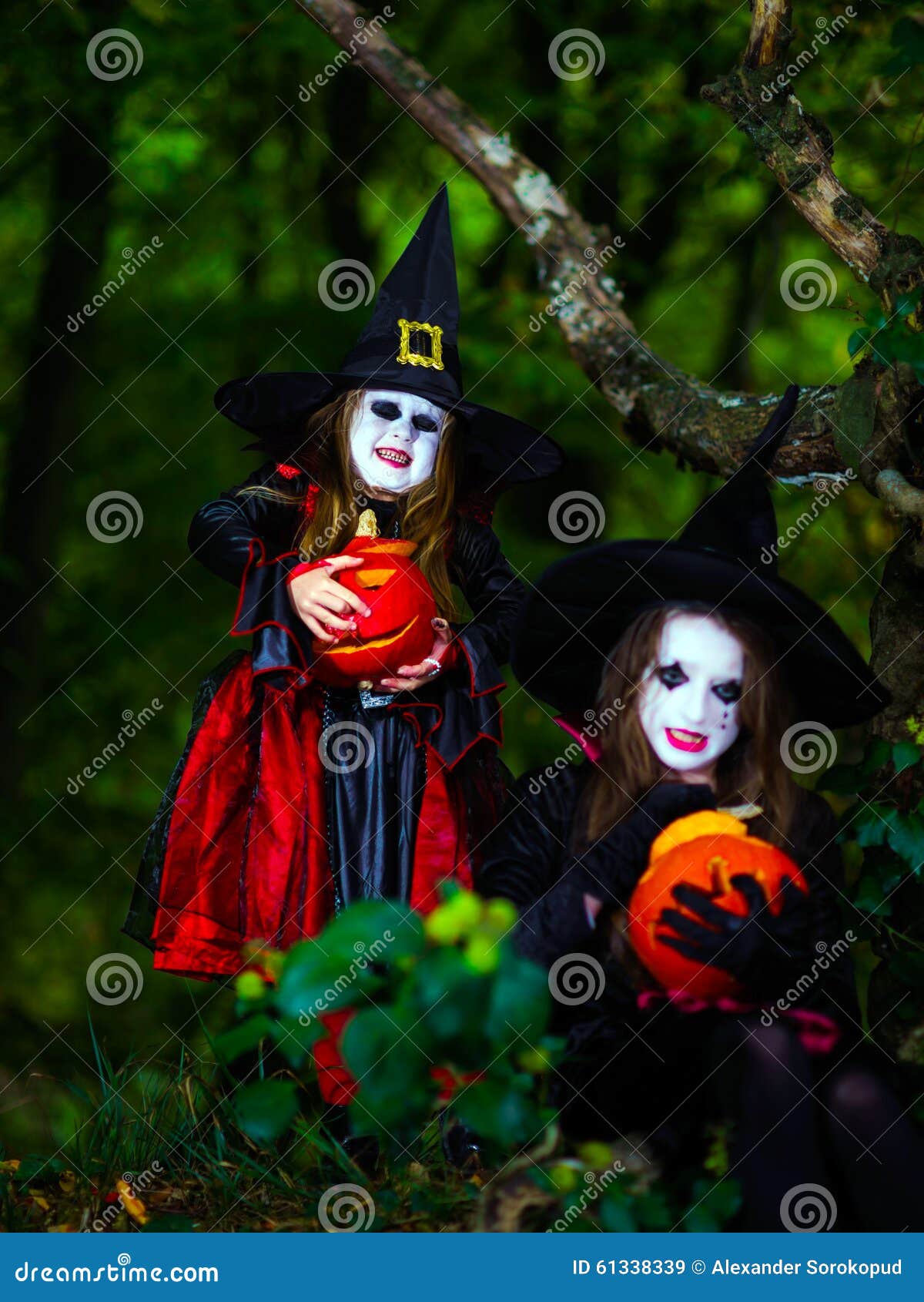 Two Witches in the Forest, Halloween Concept Stock Image - Image of ...