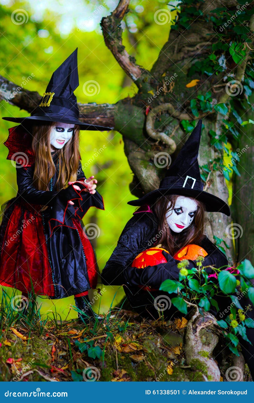 Two Witches in the Forest, Halloween Concept Stock Image - Image of ...
