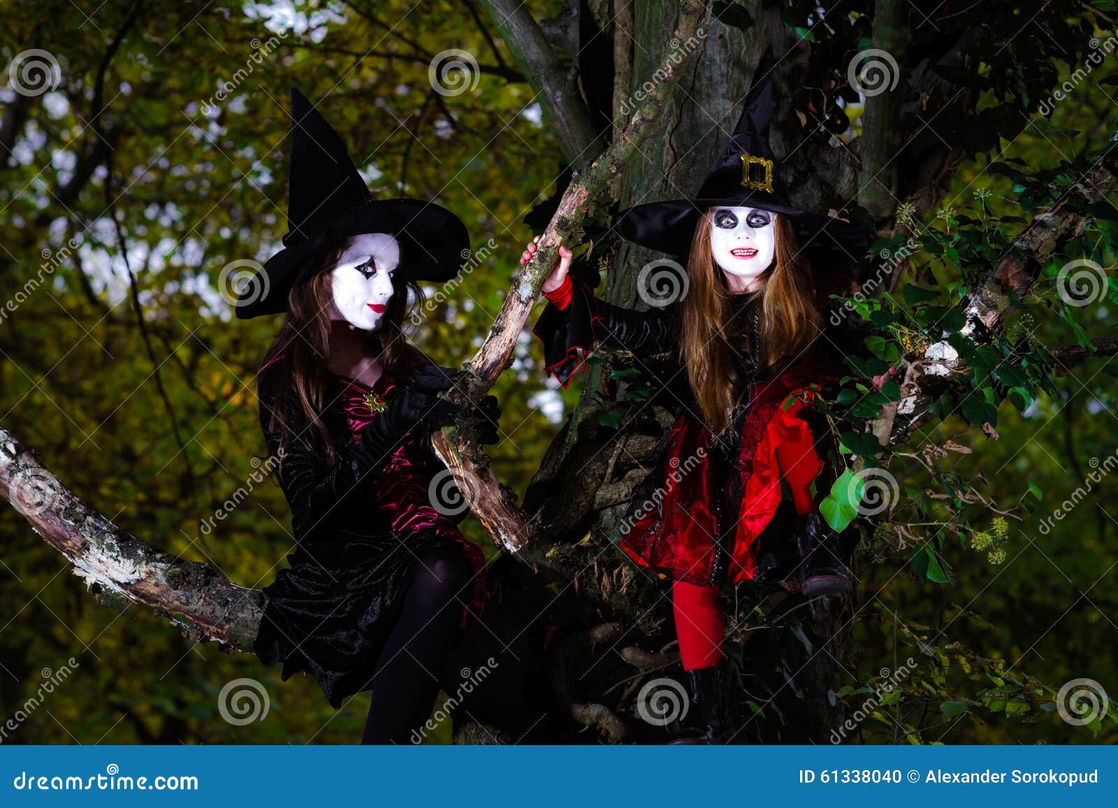 Two Witches Sitting on the Tree Stock Photo - Image of mysterious ...