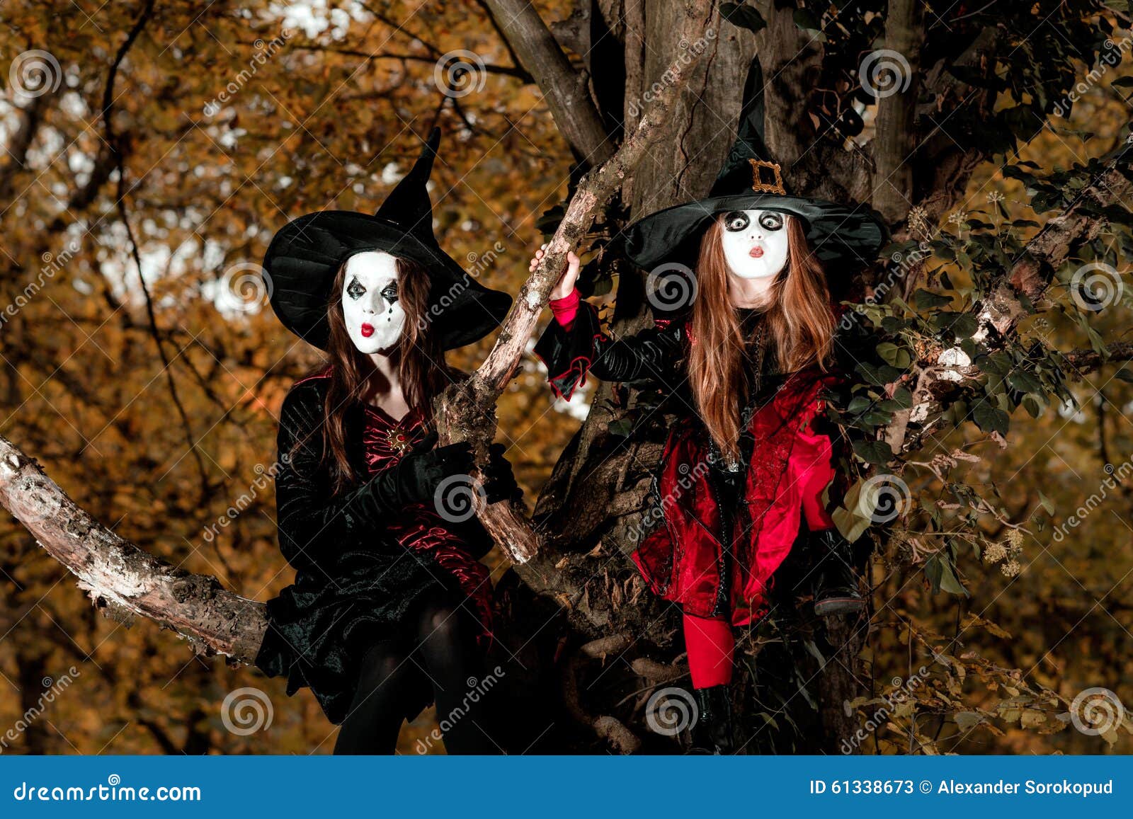 Two Witches Sitting on the Tree Stock Image - Image of forest ...