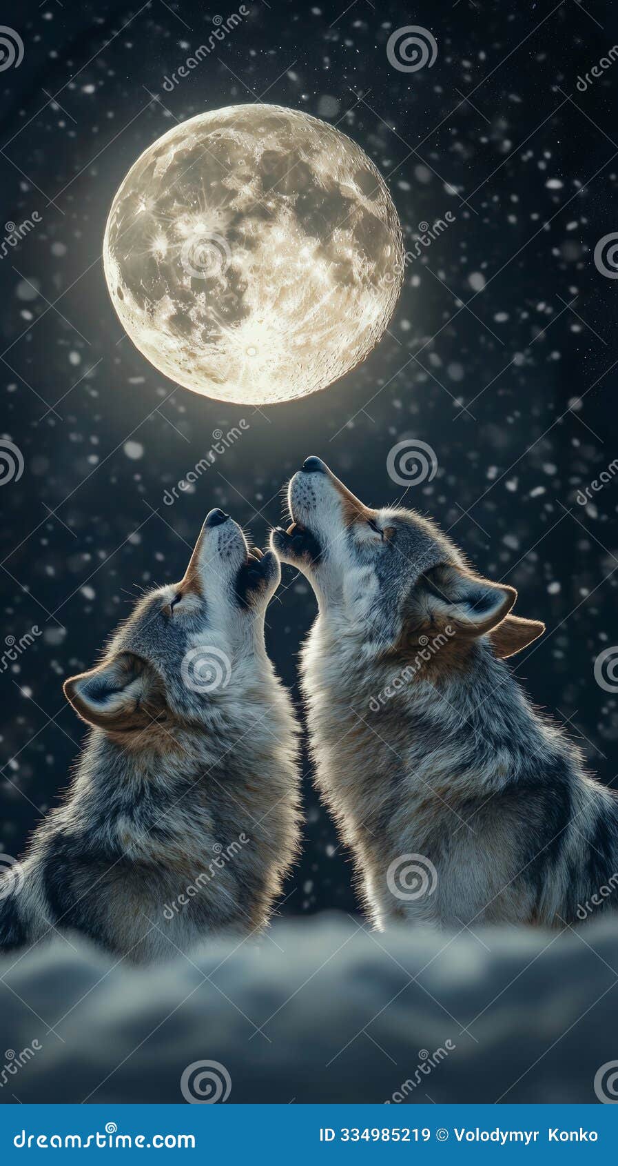 Two Wolves Howling at the Full Moon in Snowy Night, Nature Harmony ...