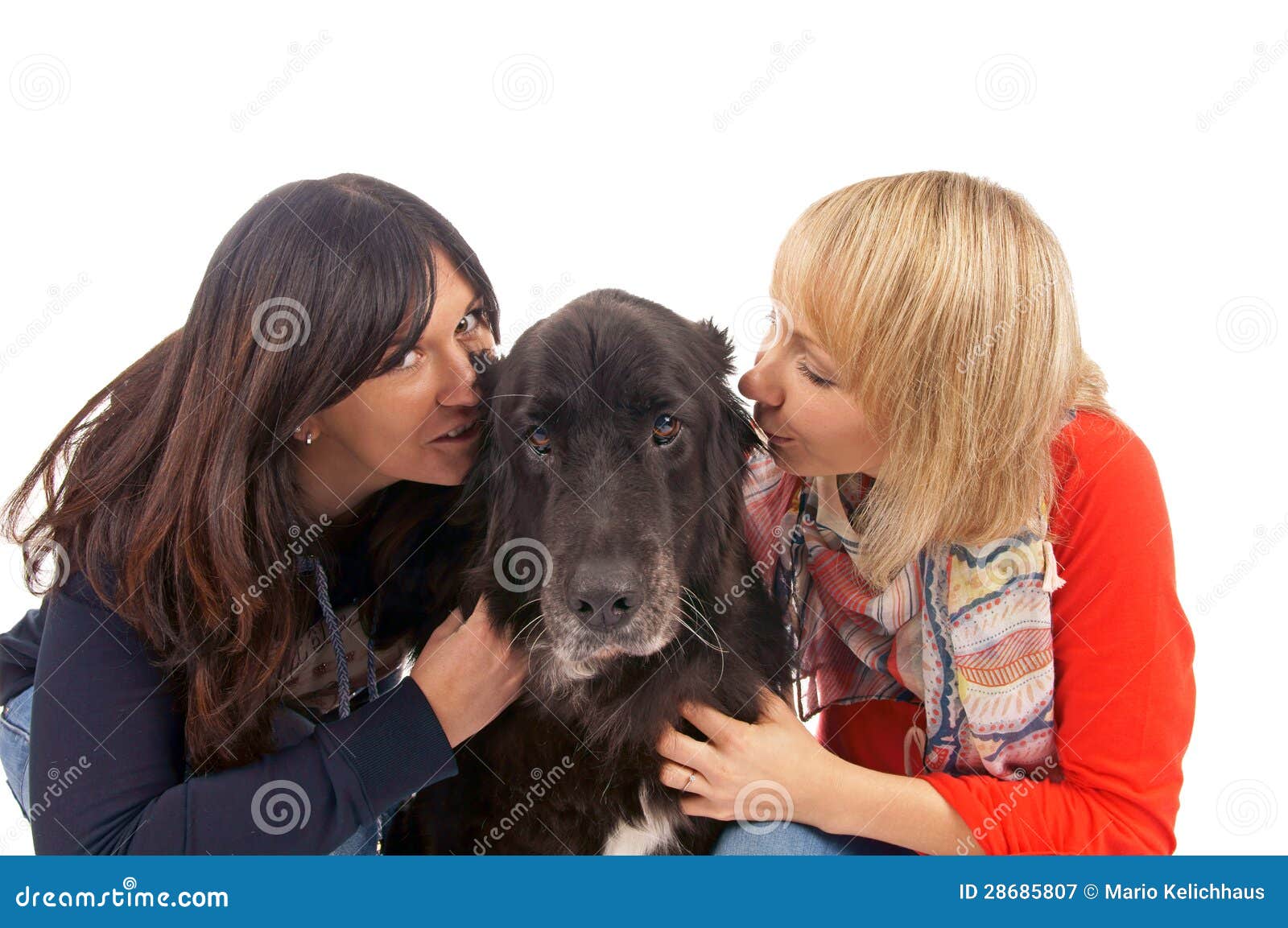 Two Woman and Dog stock image. Image of animal, animals - 28685807
