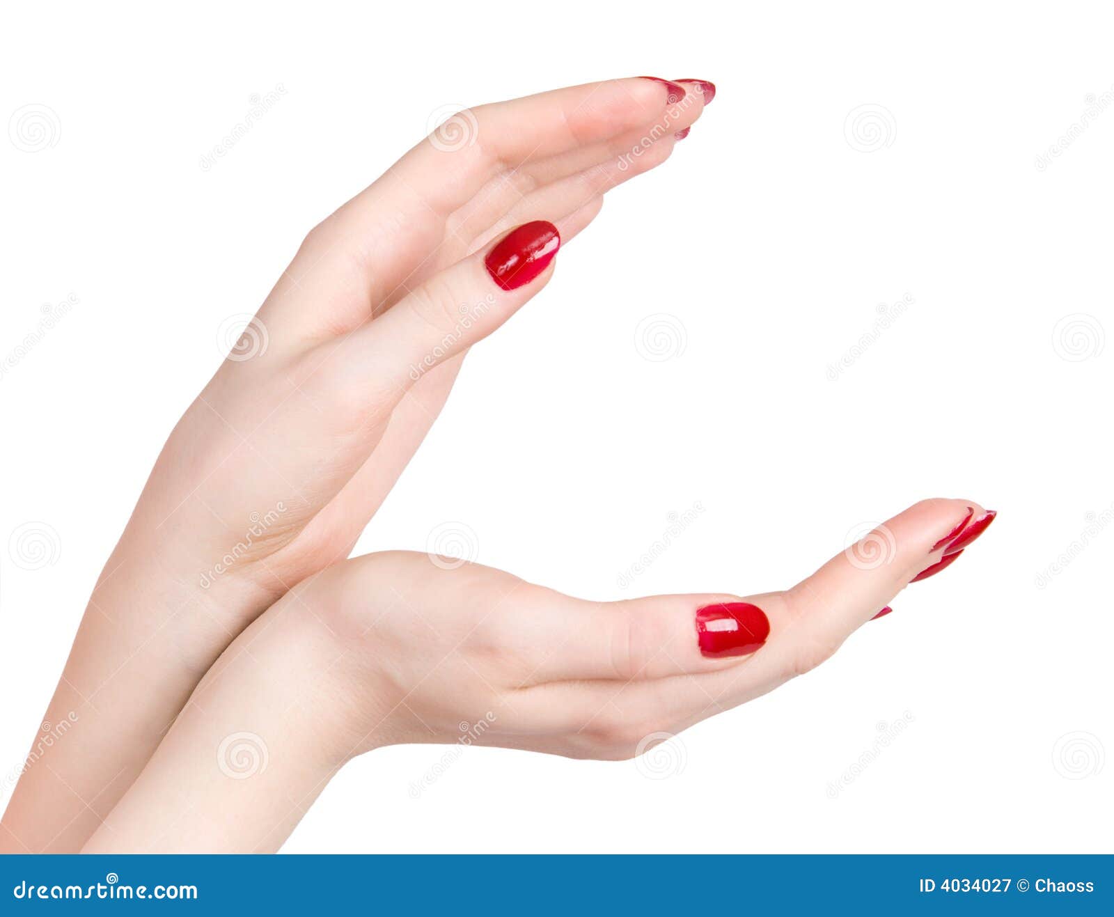 Two woman hands stock image. Image of open, hands, female - 4034027