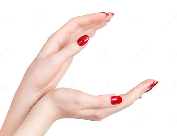 Two woman hands stock image. Image of open, hands, female - 4034027