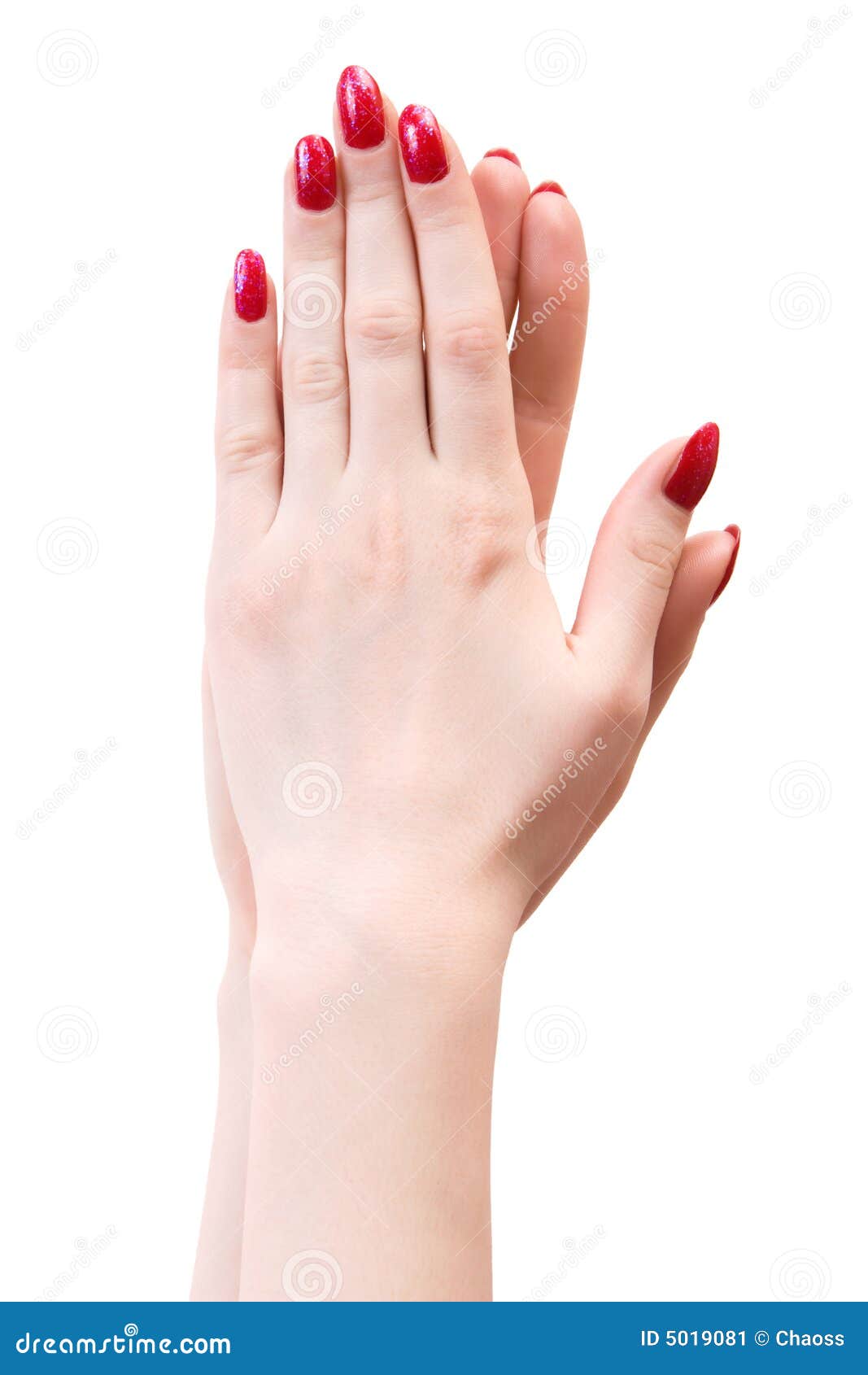 Two Woman Hands Pressed Palms To Each Other Stock Image - Image of ...